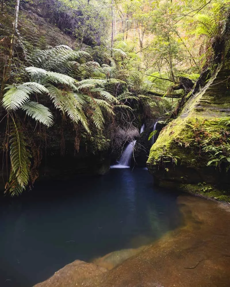 Nayook Falls: a sensational canyon waterfall in the Blue Mountains ...