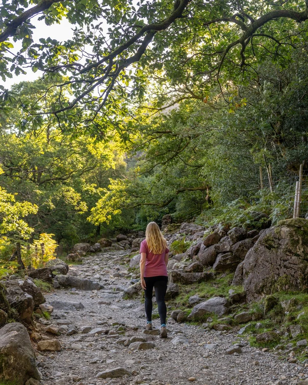 Black Moss Pot: the truth about wild swimming at the Lake District's ...