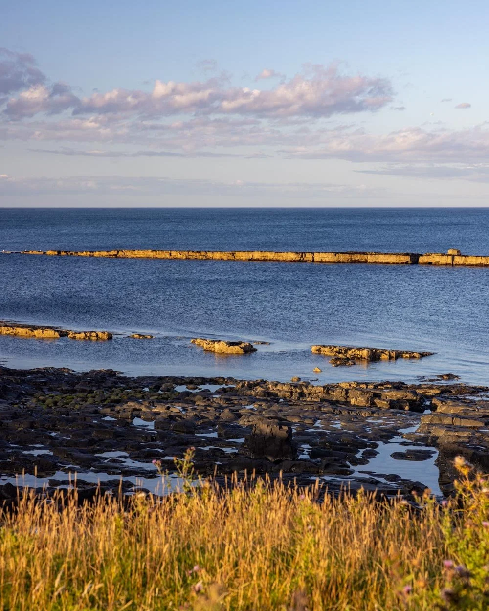Craster to Dunstanburgh Castle Walk: is this Northumberland's best ...