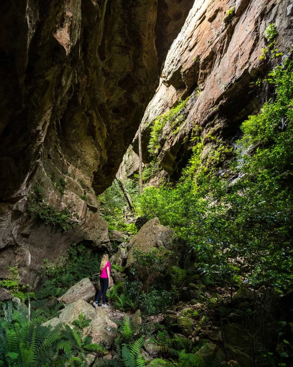 The Devils Hole: Katoomba's Lost World — Walk My World