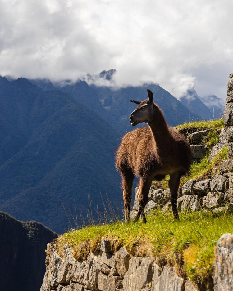 Renting a Car in Peru: is it safe for tourists? — Walk My World
