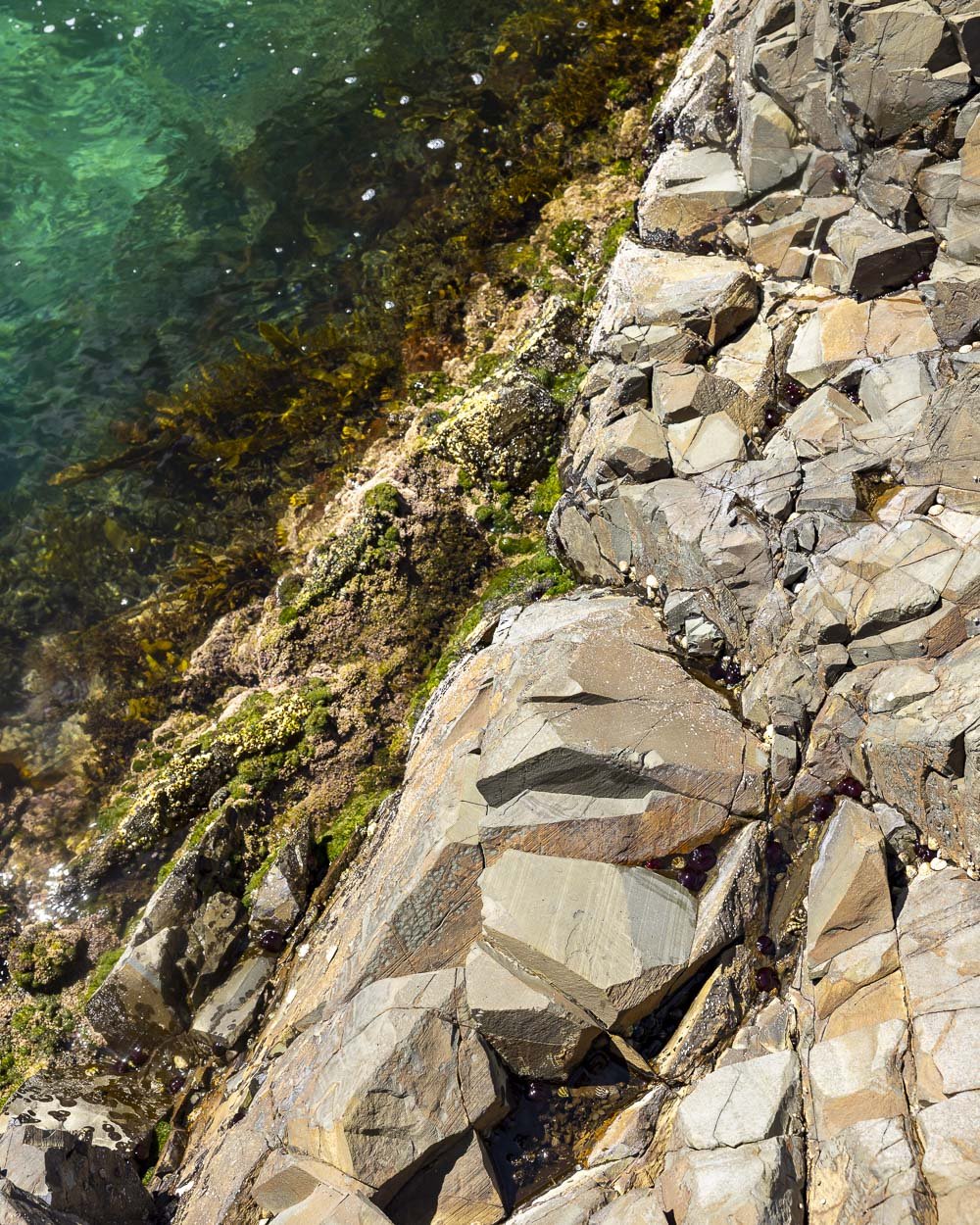 Crystal Pools: hidden rockpool heaven near Forster — Walk My World