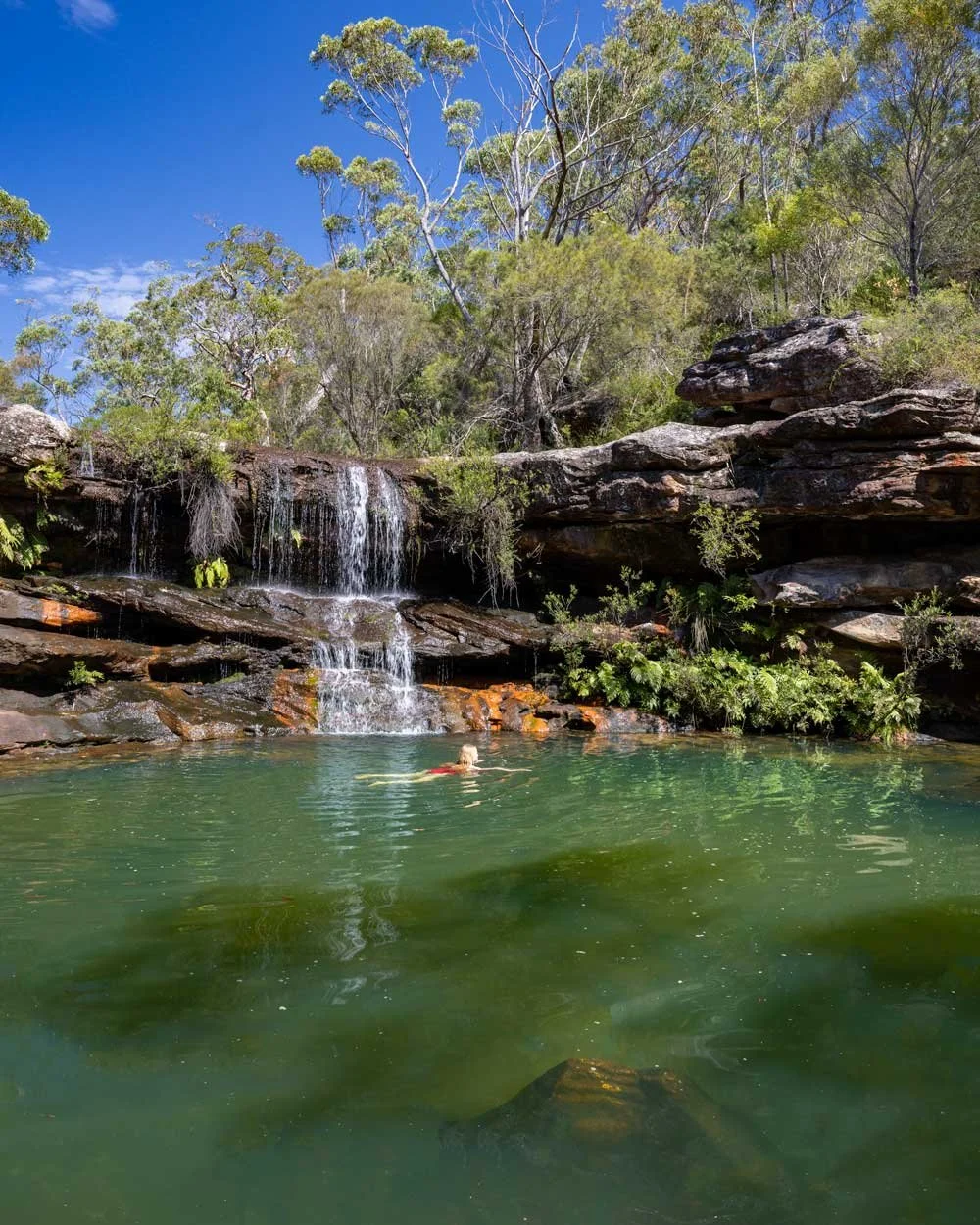 Kangaroo Pool: is this the most beautiful swimming spot in Royal ...