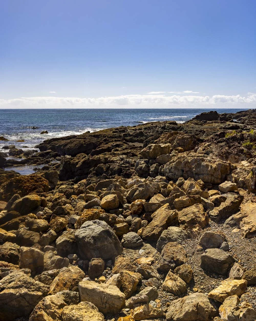 Crystal Pools: hidden rockpool heaven near Forster — Walk My World