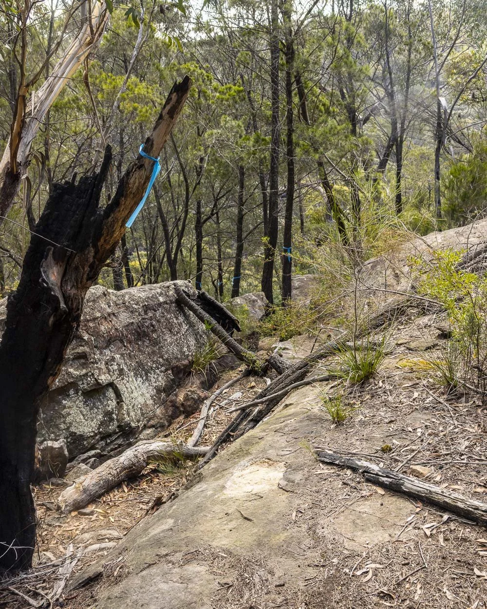 Yerrinbool Falls: a beautiful secluded waterfall in the Southern ...