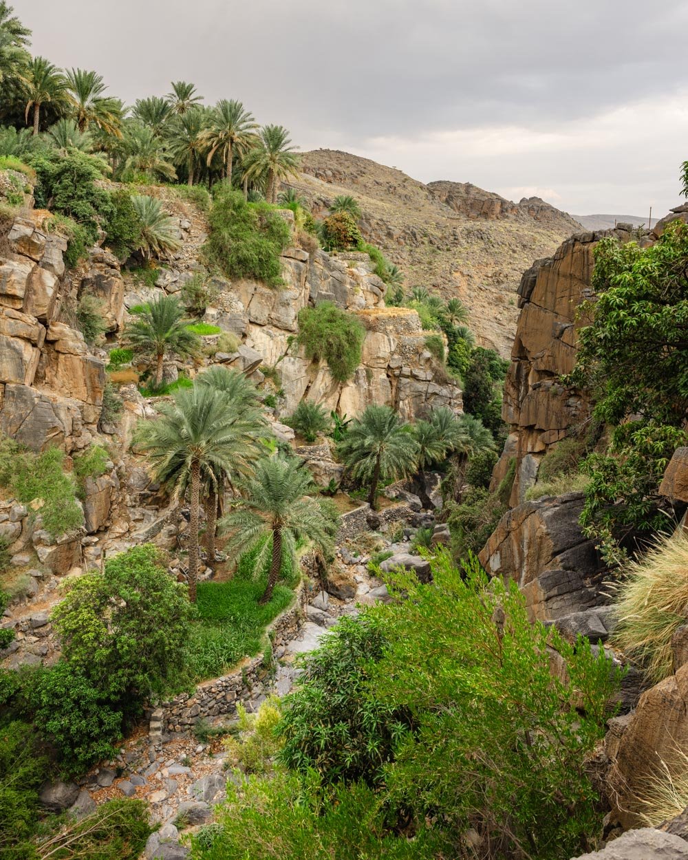 Misfat al Abriyeen: how to make the most of Oman's spectacular mud ...