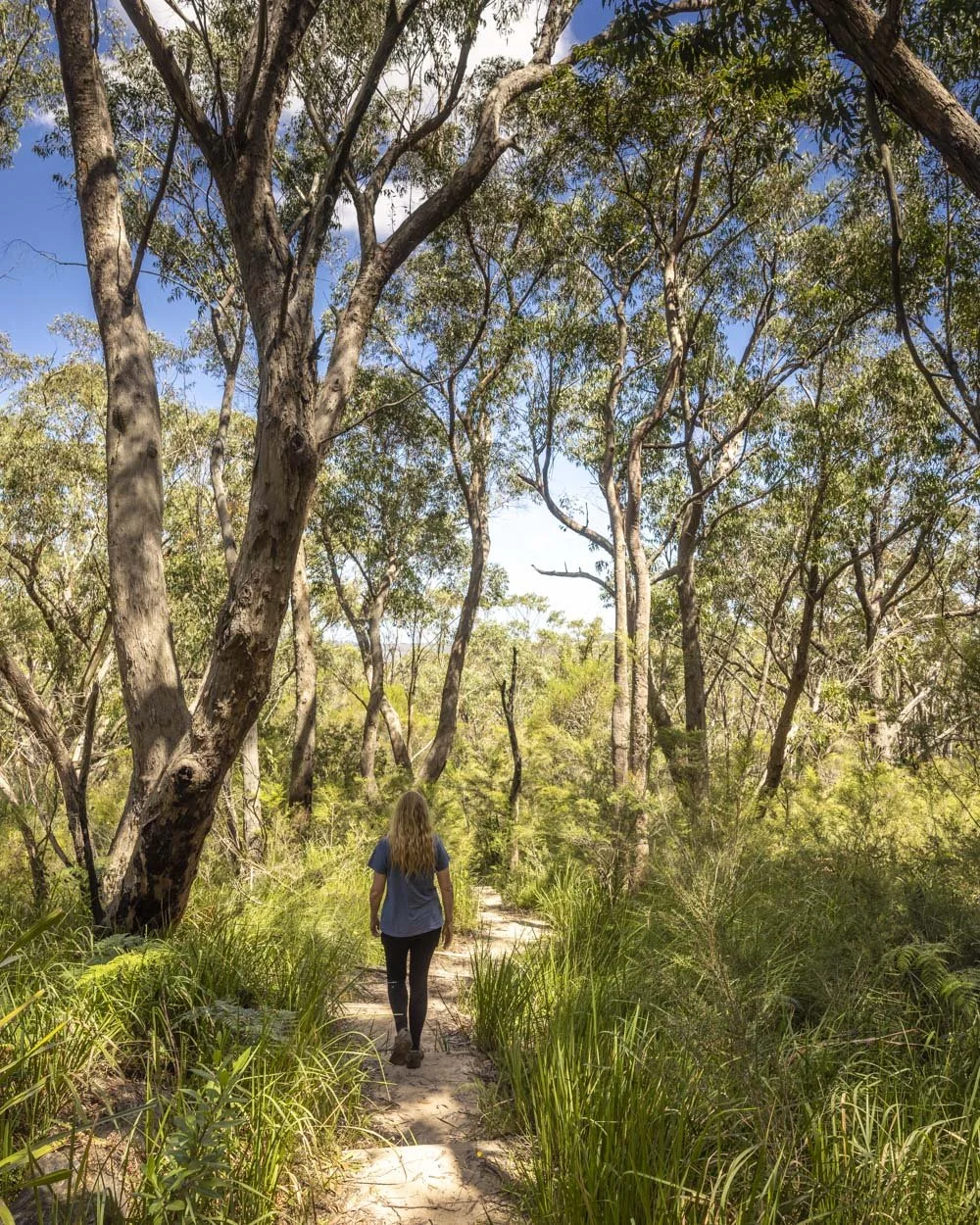 Kingfisher Pool: a pretty swimming hole in Heathcote National Park ...