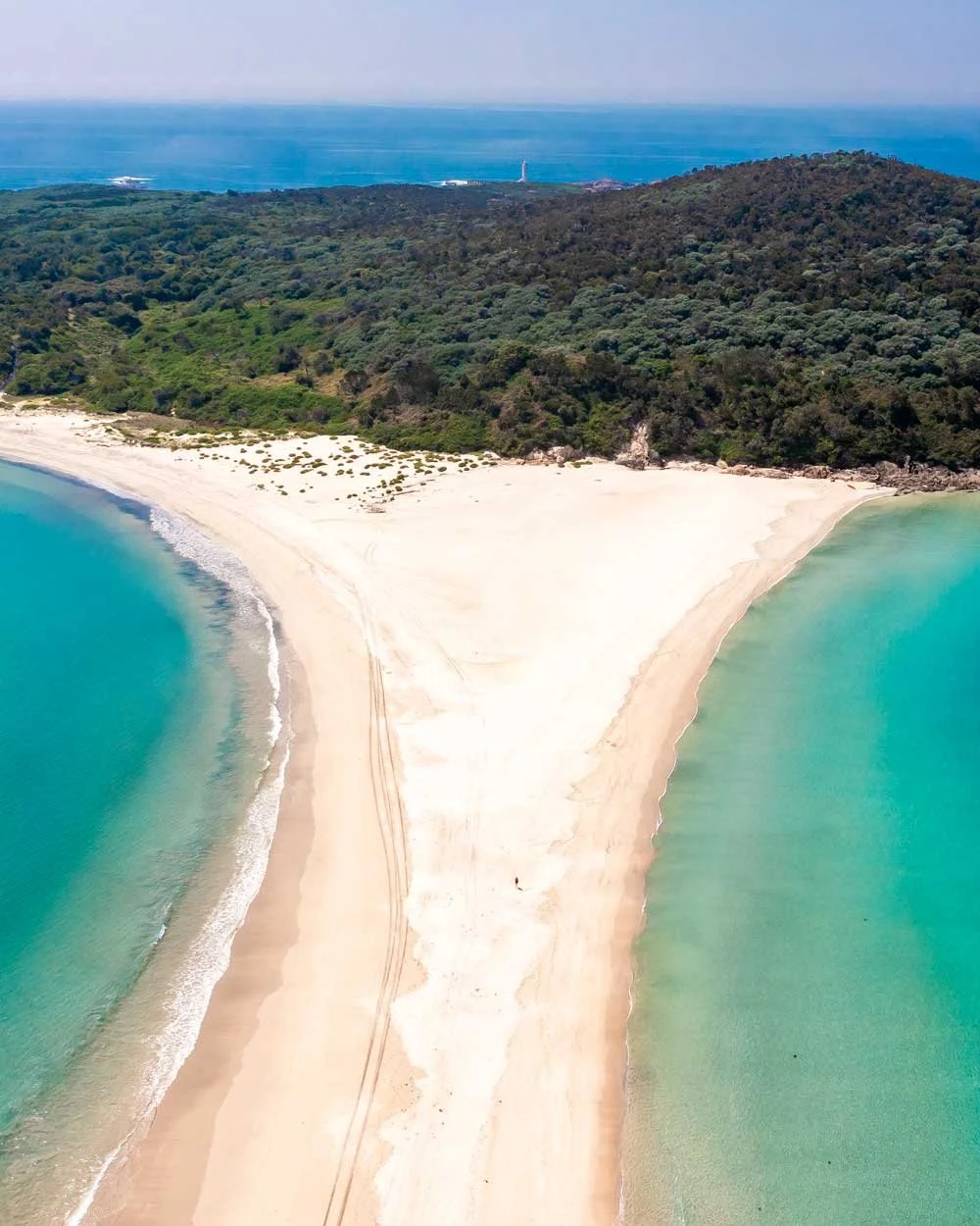 Crossing the spit to Fingal Island: one of Port Stephens best ...