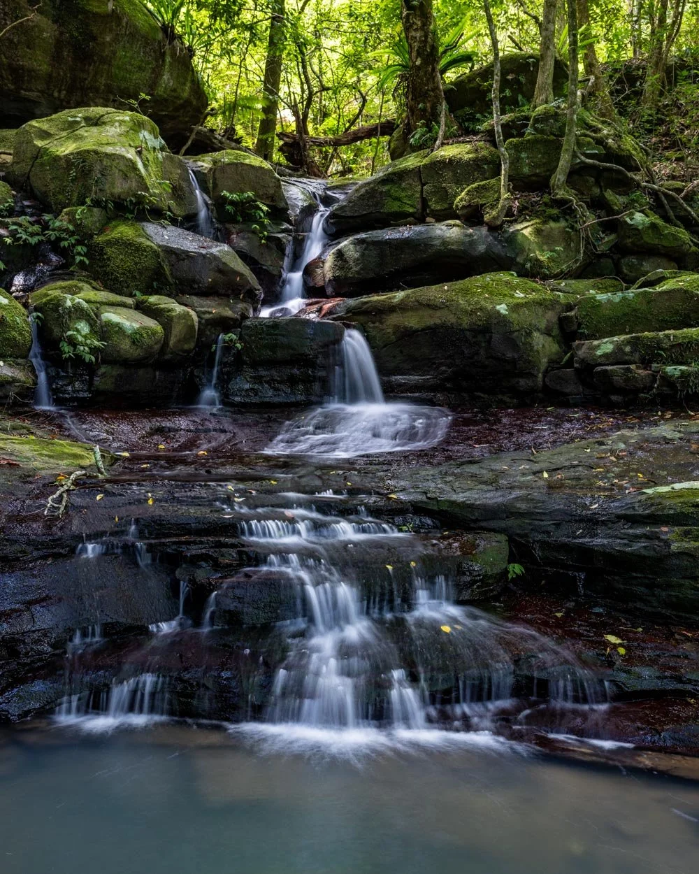 14 Fun Things to do in Berry for the perfect rural getaway — Walk My World