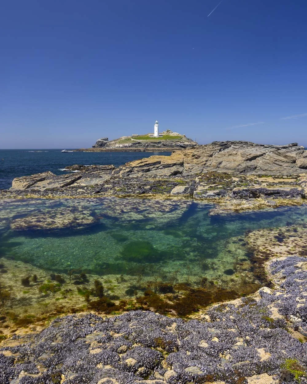 Godrevy Rockpool: a slice of the Mediterranean in Cornwall — Walk My World