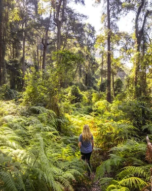 Faulconbridge Point: secluded wild swimming & epic sunset spot in the ...