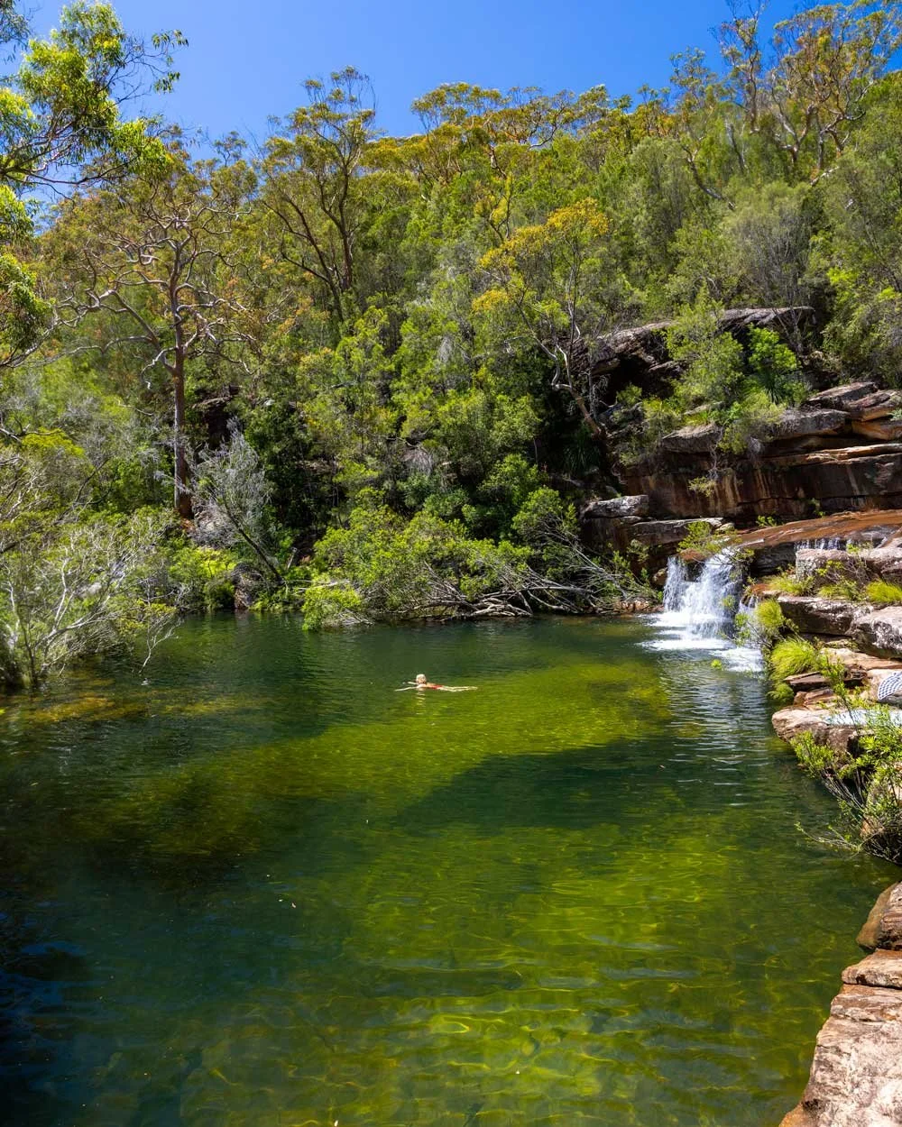 Winifred Falls: a spectacular waterfall you can swim under — Walk My World