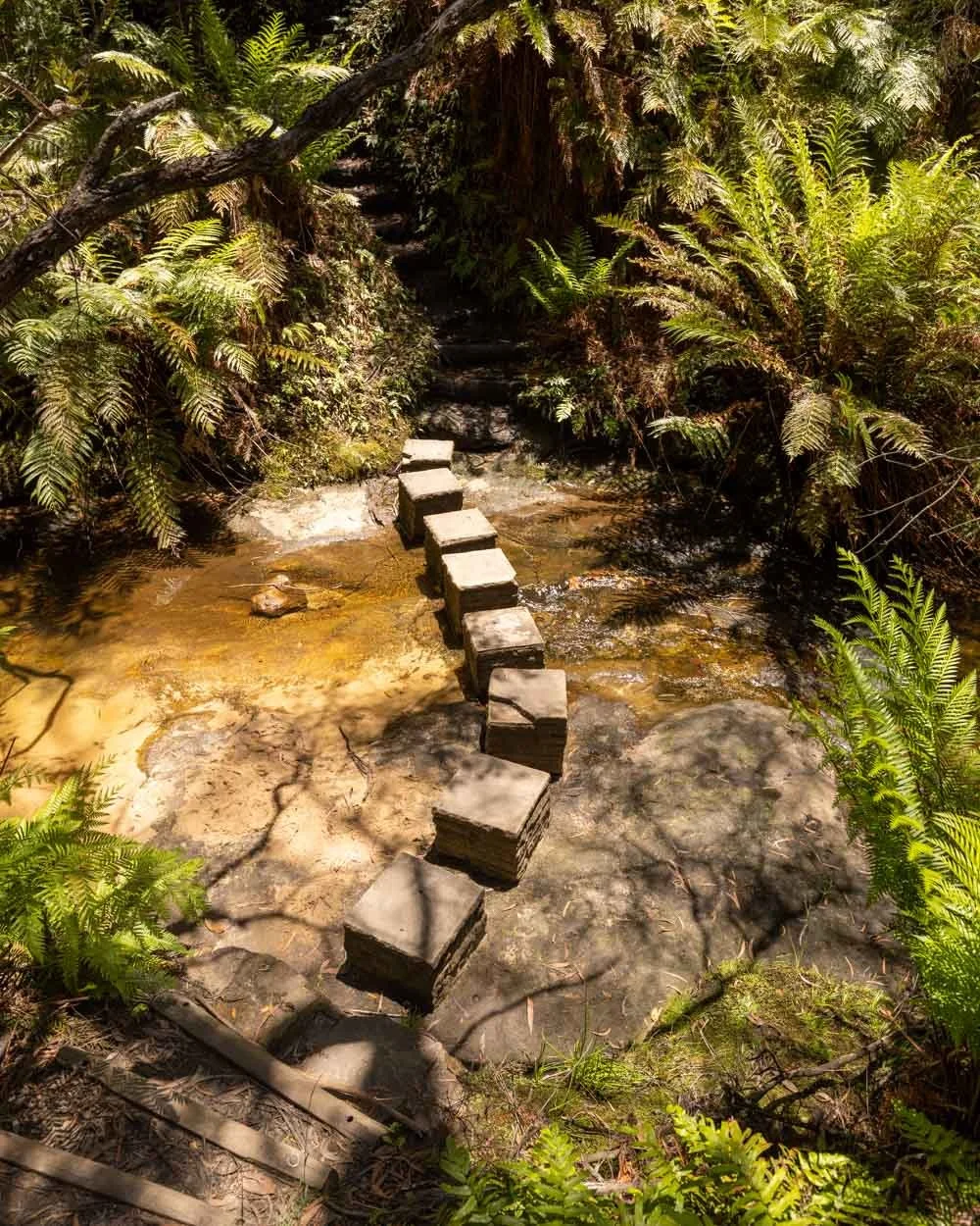 The Nature Track: including two amazing hidden spots along the trail ...