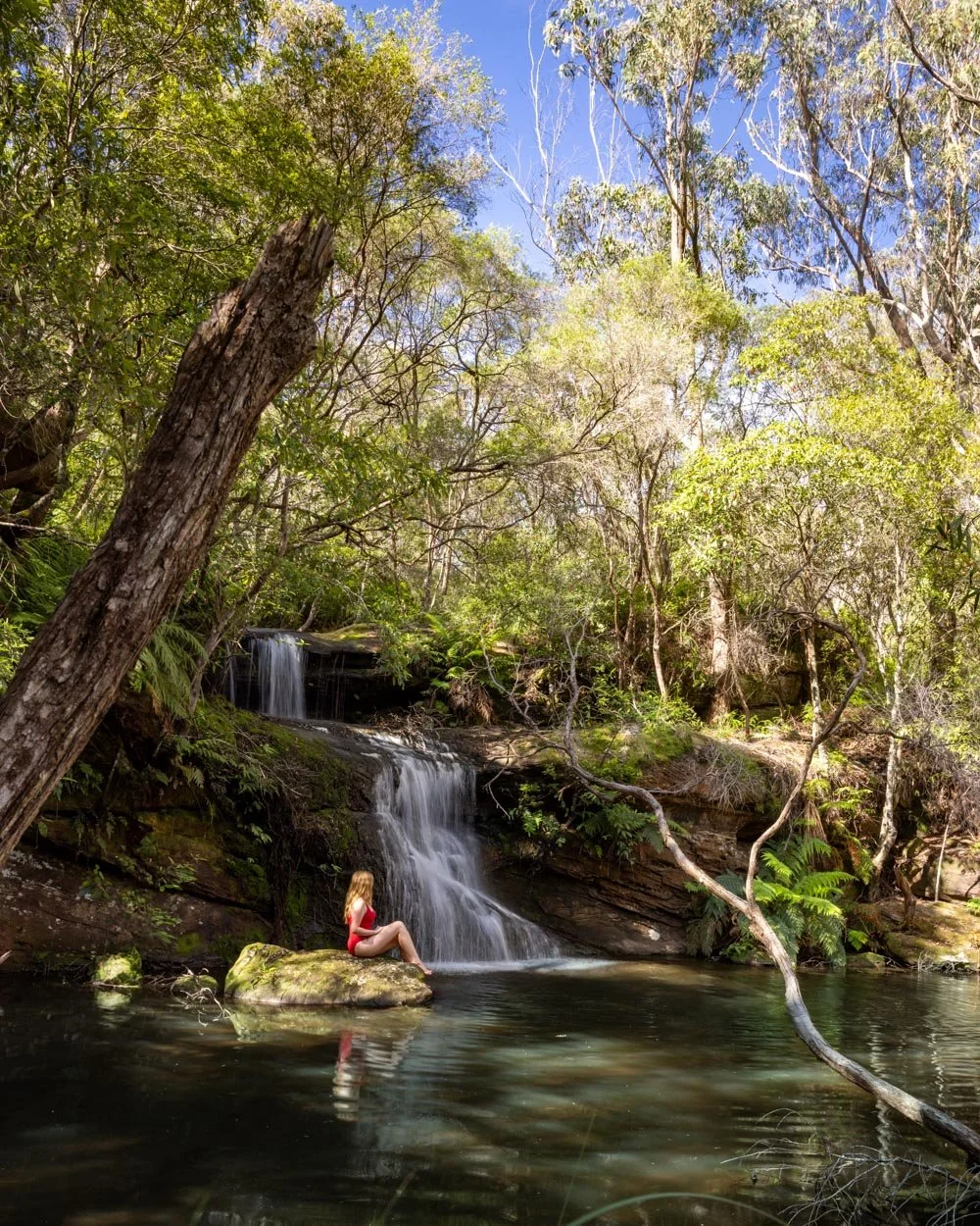 21 Things to do in Bowral that will make you want to visit straight ...