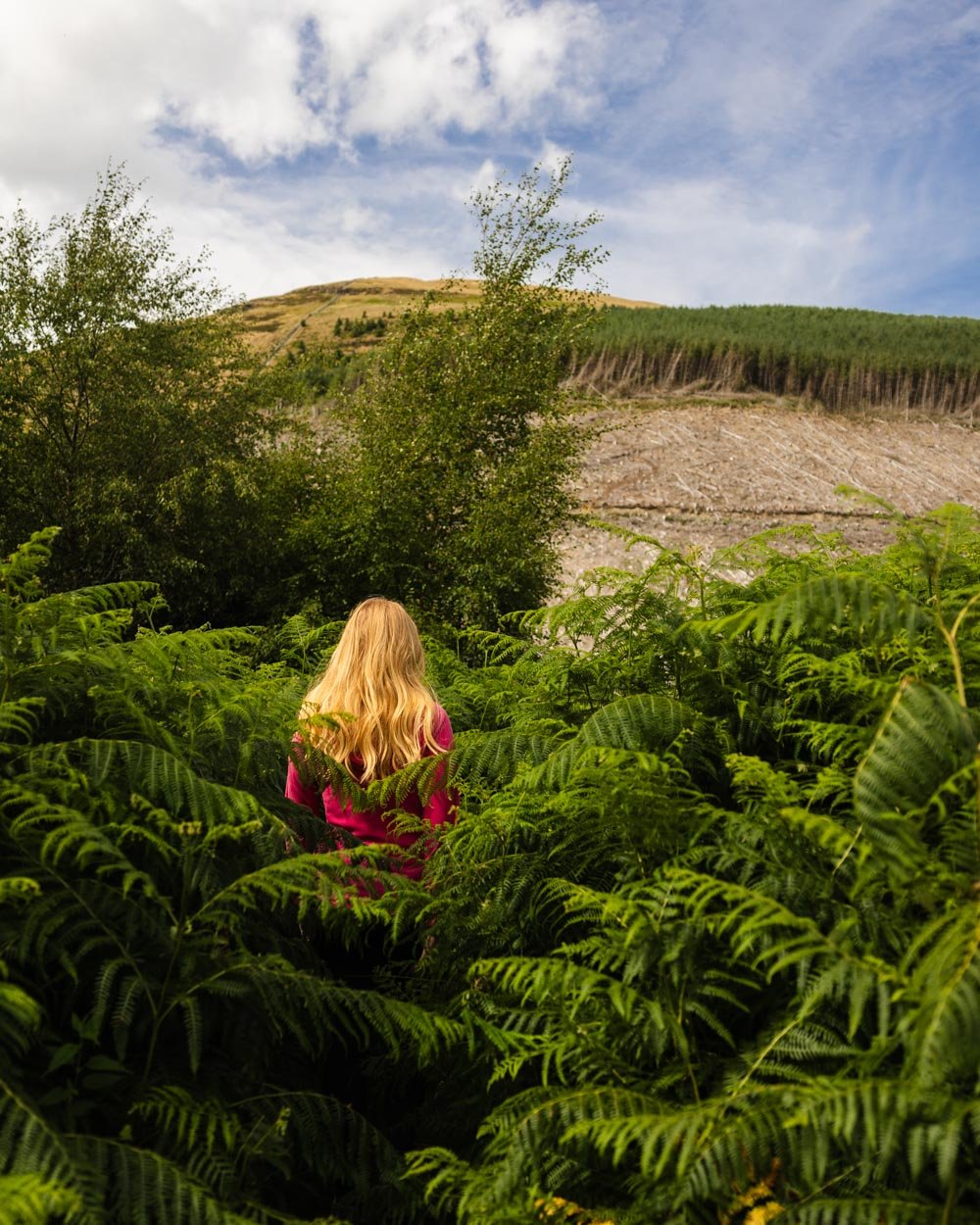 Spout Force: the Lake District's hidden gorge waterfall — Walk My World