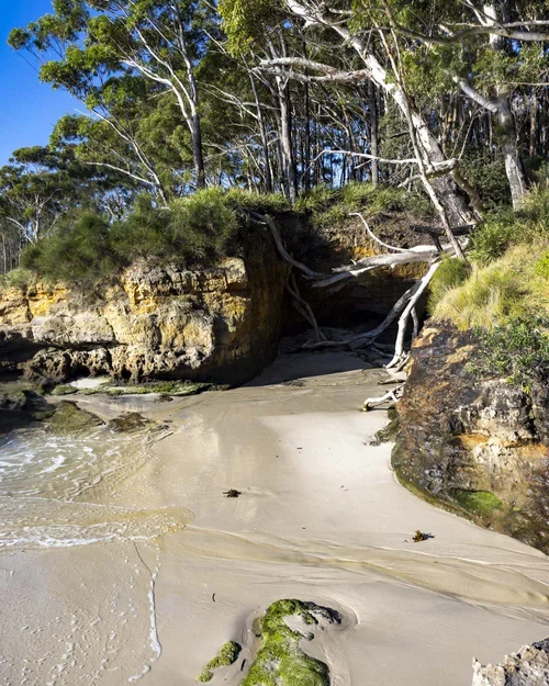 Tips for visiting Murrays Beach including how to find the hidden sea ...