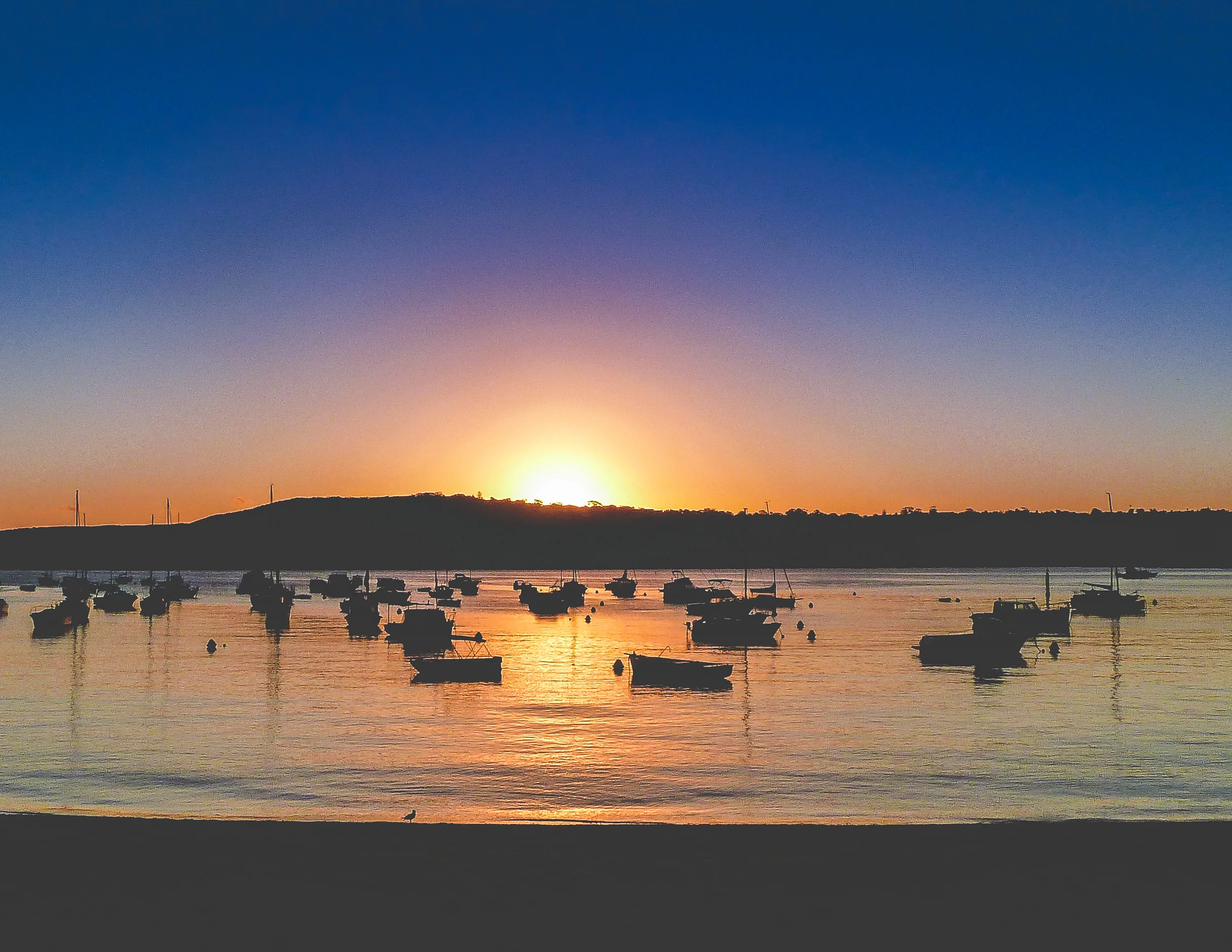 10 cheap things to do in Sydney that should be on everyone's list ...