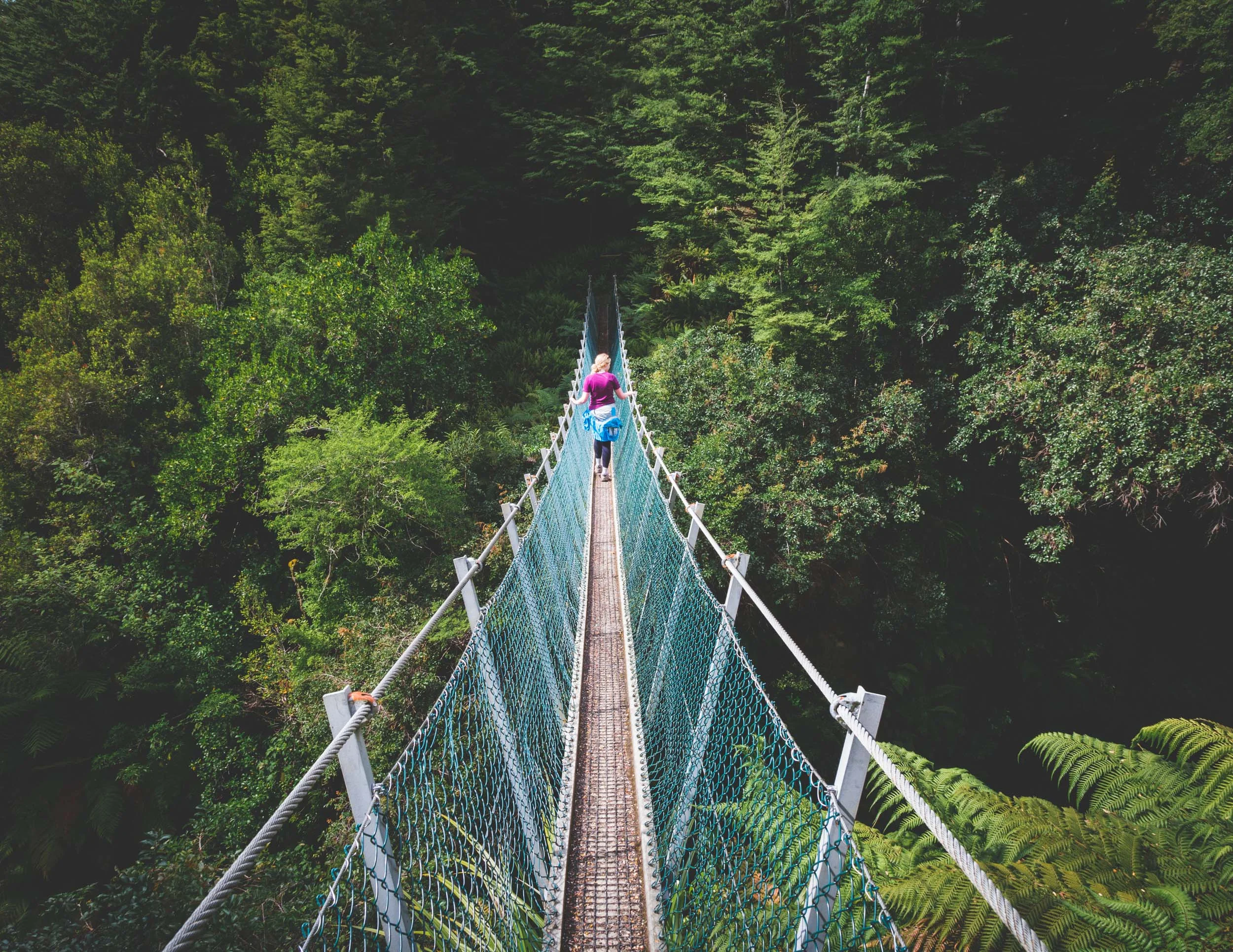 Hiking The Hump Ridge Track - New Zealand — Walk My World