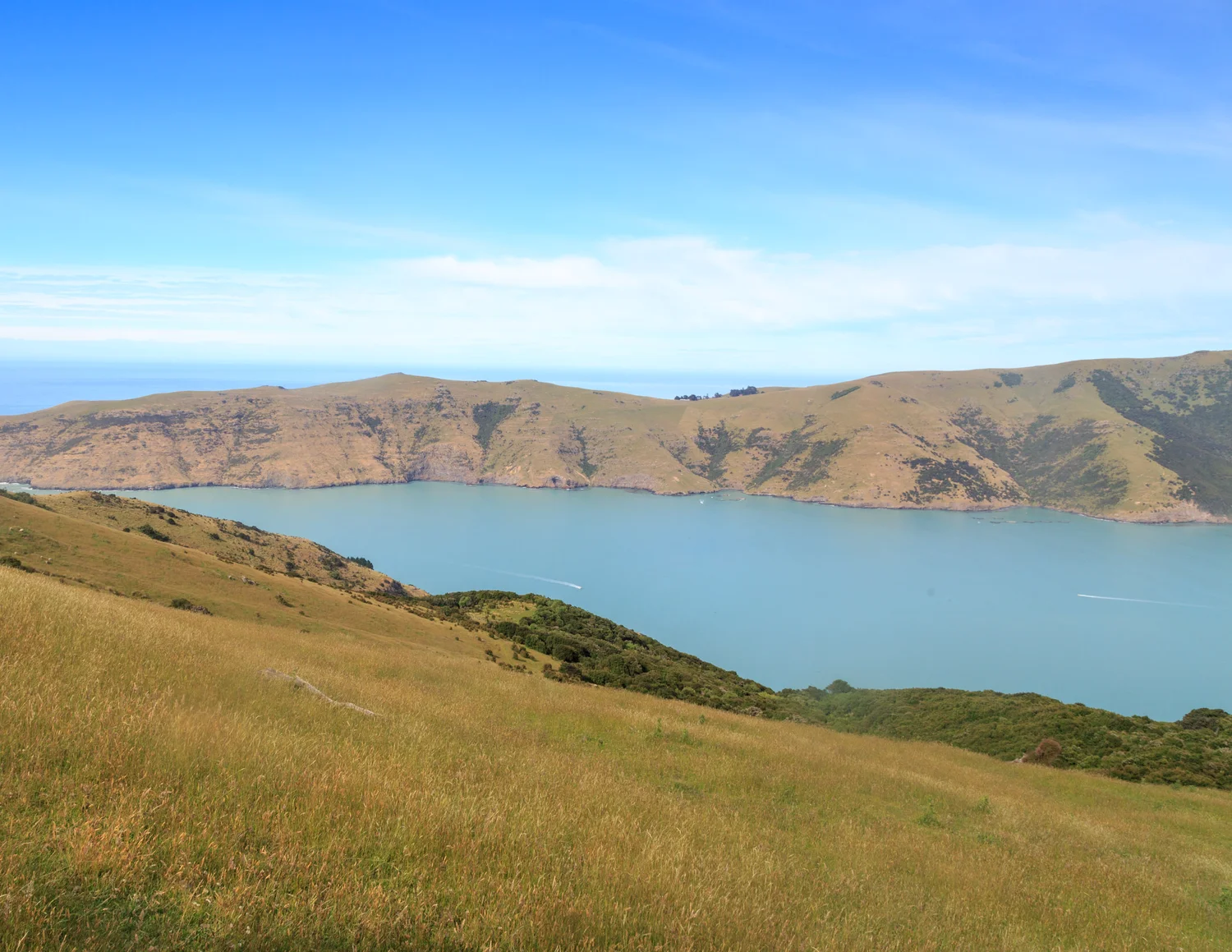 The best way to see Akaroa: The Banks Peninsula Track — Walk My World