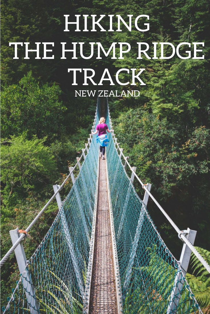 Hiking The Hump Ridge Track - New Zealand — Walk My World