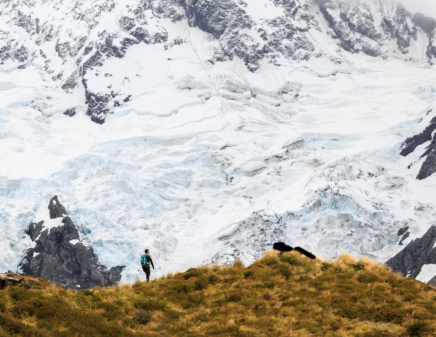 The best Mount Cook walks for incredible views — Walk My World