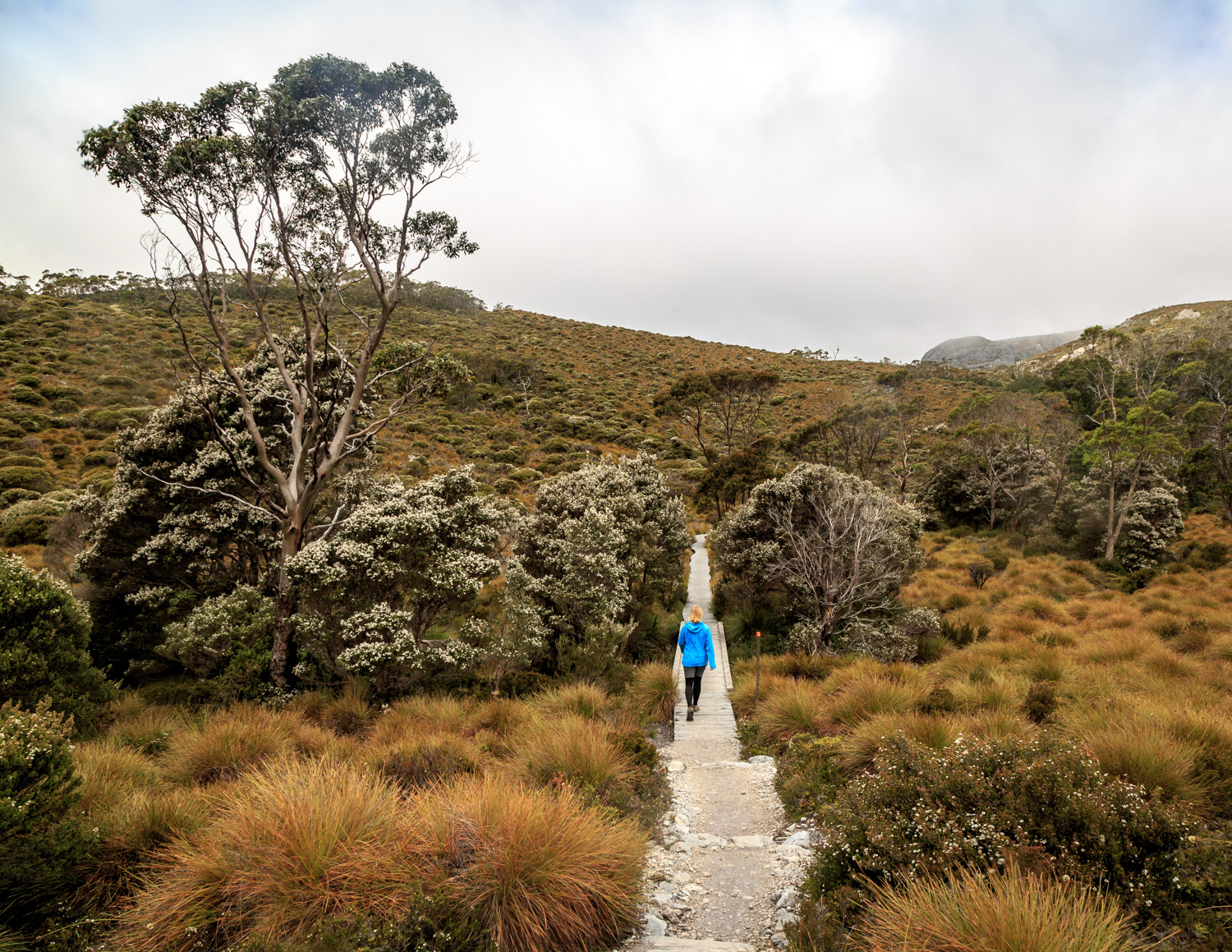13 of the best things to do in Tasmania that shows there's nowhere else ...