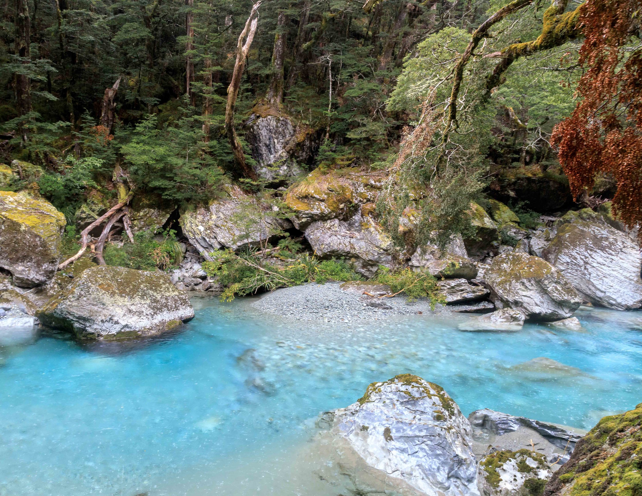 The Routeburn Track: Our first of the 9 Great Walks of New Zealand ...