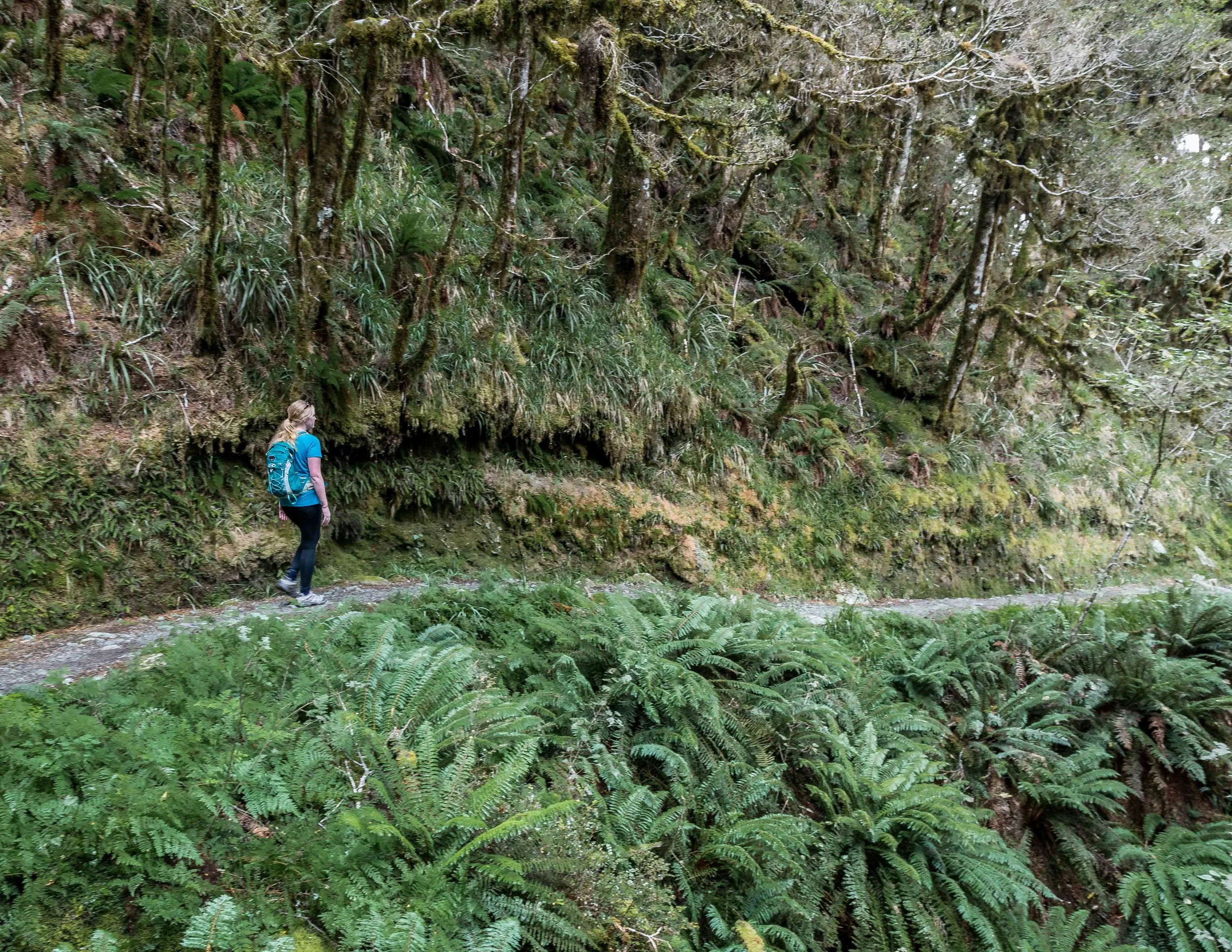 The Routeburn Track: Our first of the 9 Great Walks of New Zealand ...