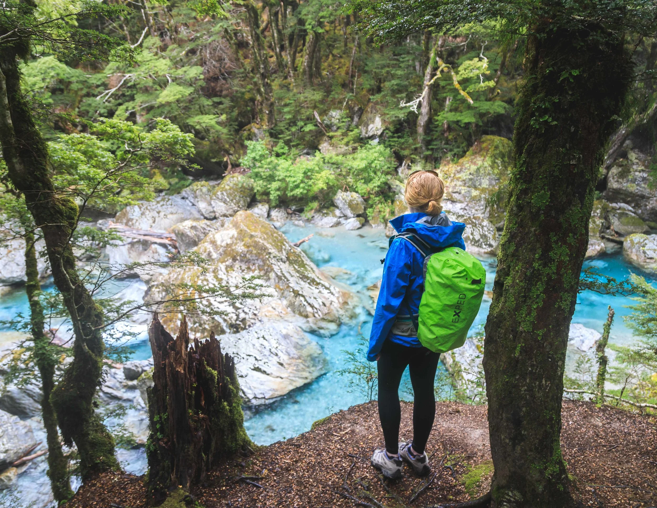 32 Photos to inspire you to hike the Routeburn Track — Walk My World