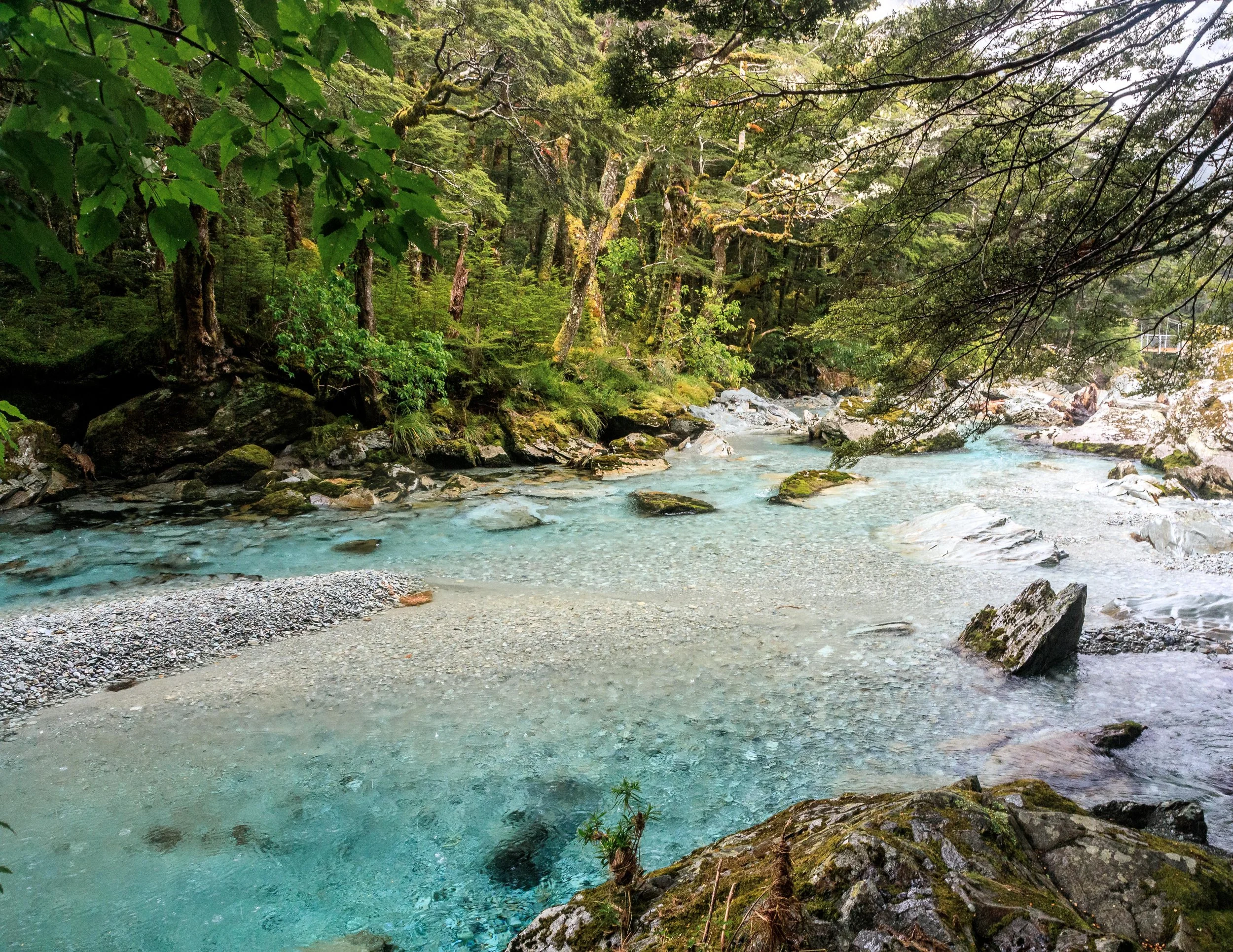 32 Photos to inspire you to hike the Routeburn Track — Walk My World