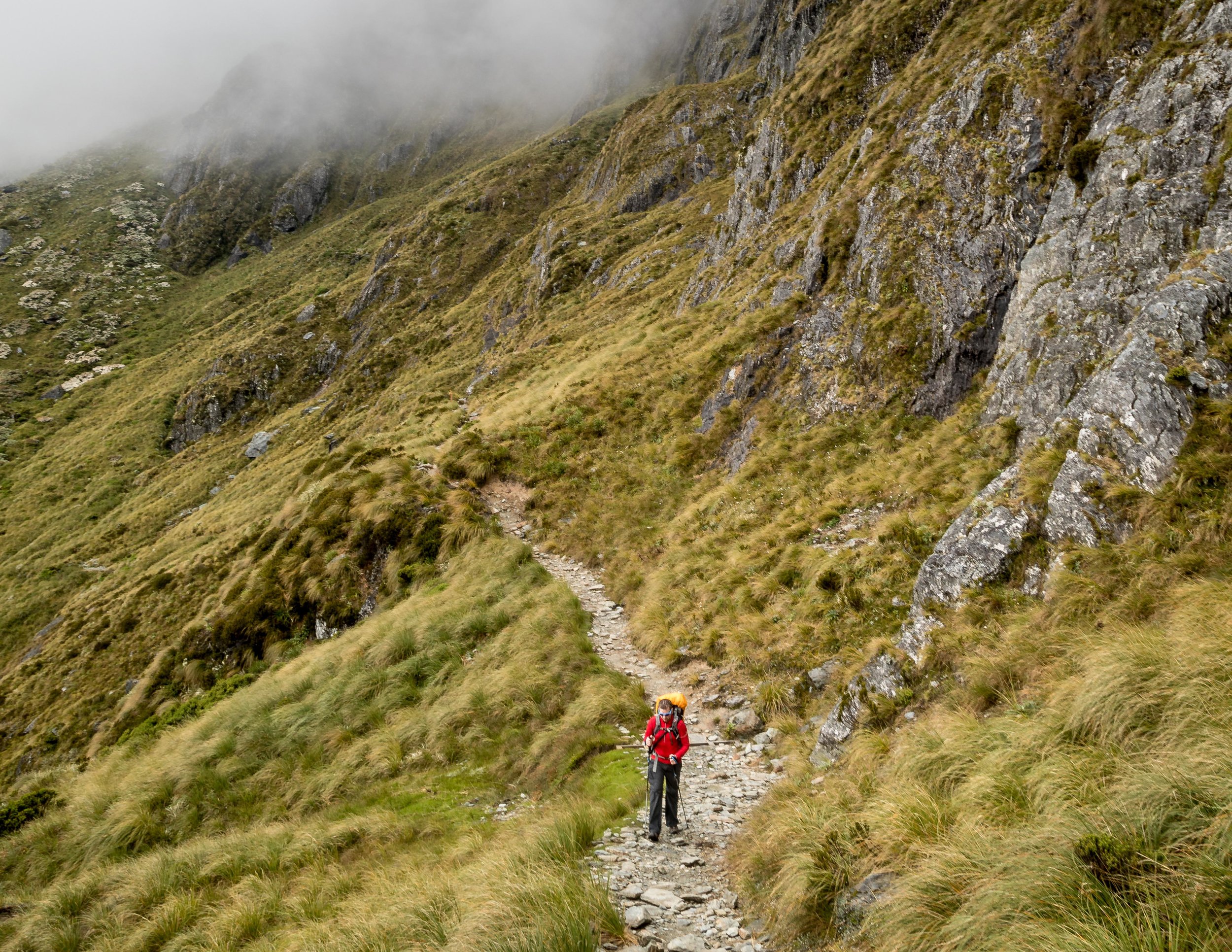 32 Photos to inspire you to hike the Routeburn Track — Walk My World
