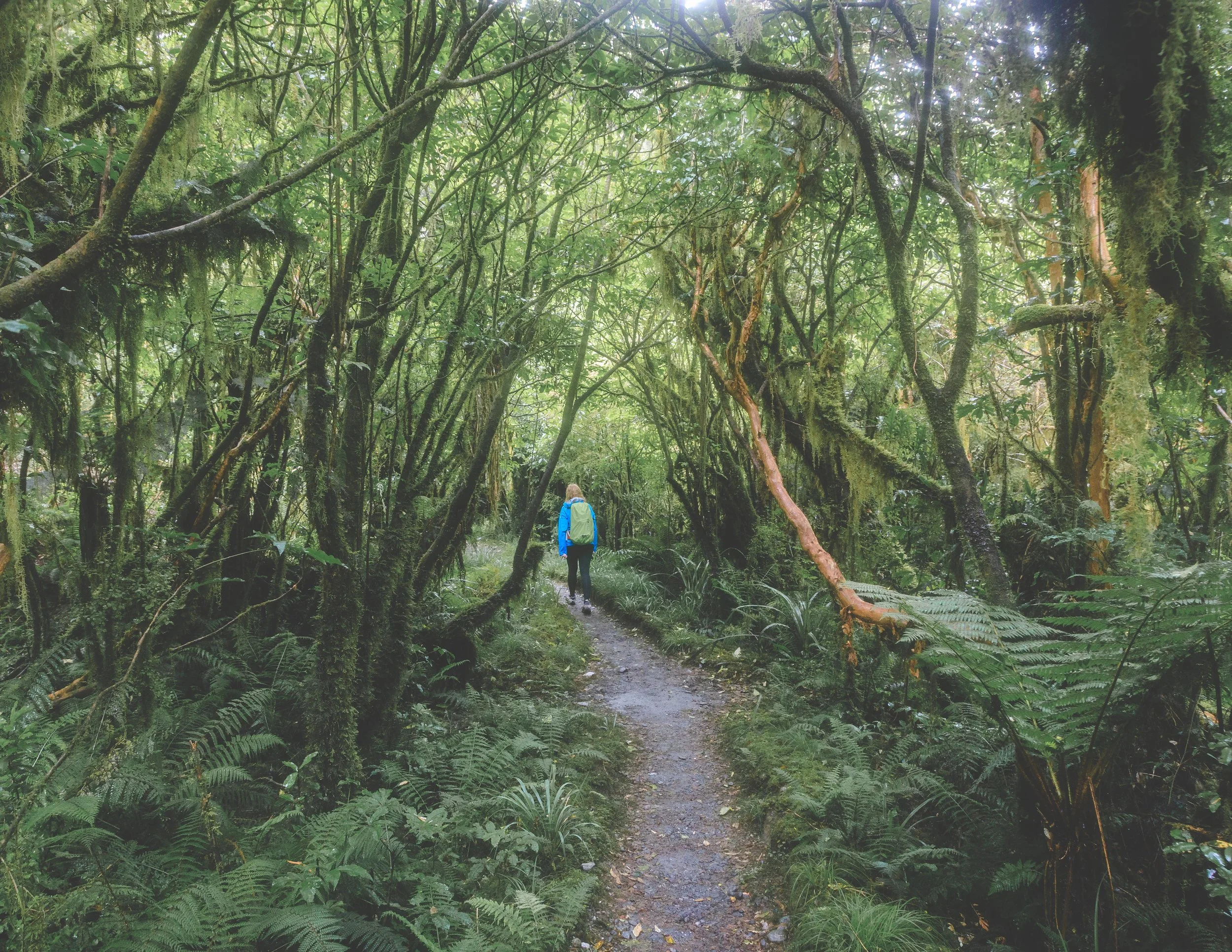 The Milford Track: The Finest Walk in the World... in a monsoon — Walk ...