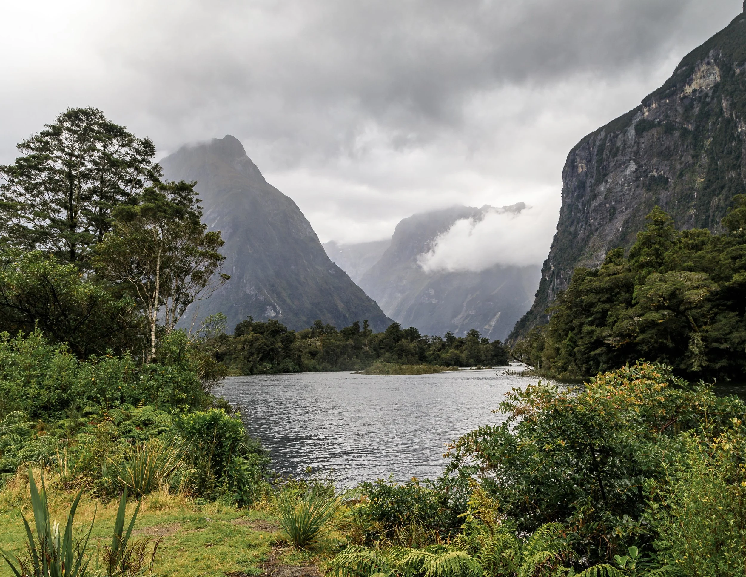 The Milford Track: The Finest Walk in the World... in a monsoon — Walk ...
