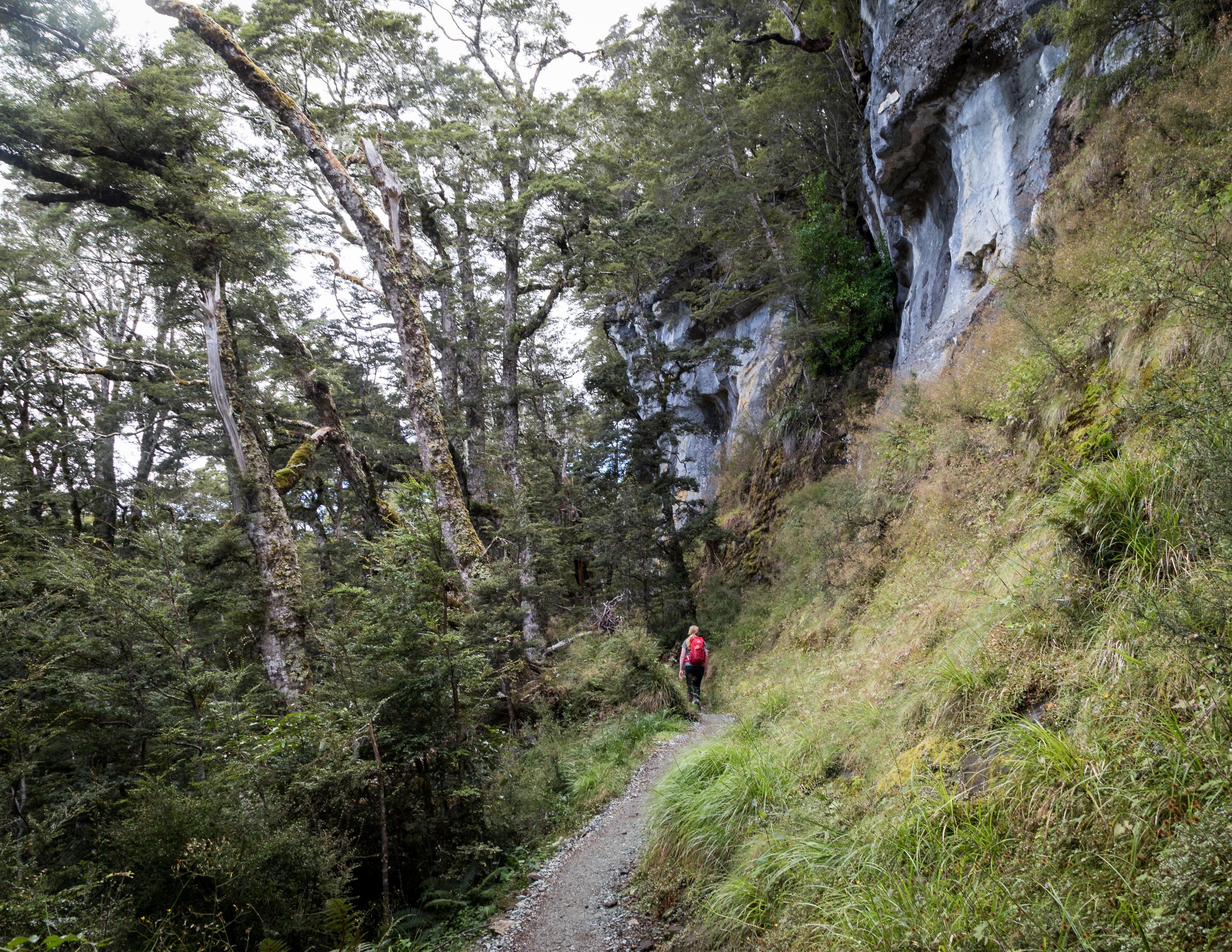The Kepler Track: our favourite Great Walk so far — Walk My World