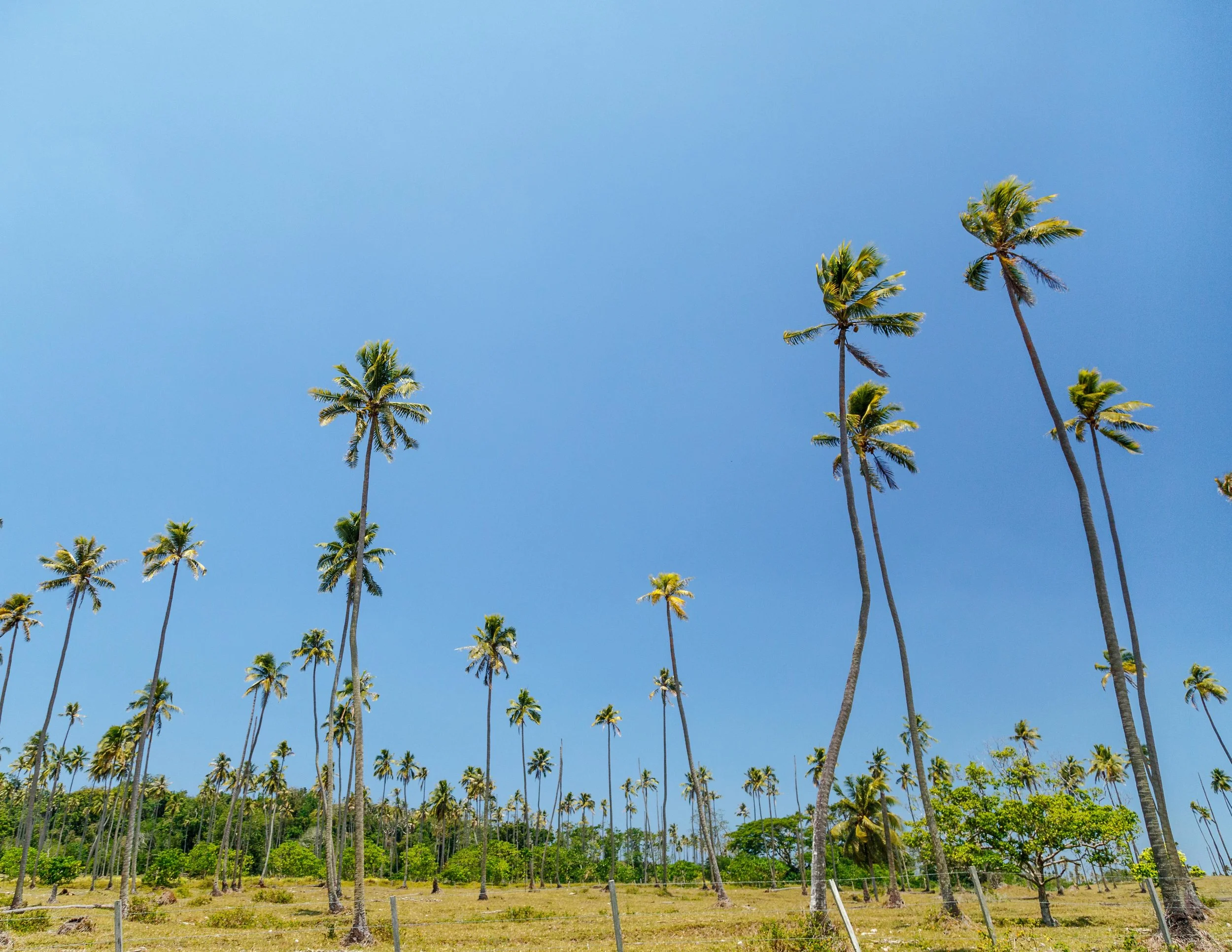 22 photos to inspire you to visit Vanuatu — Walk My World