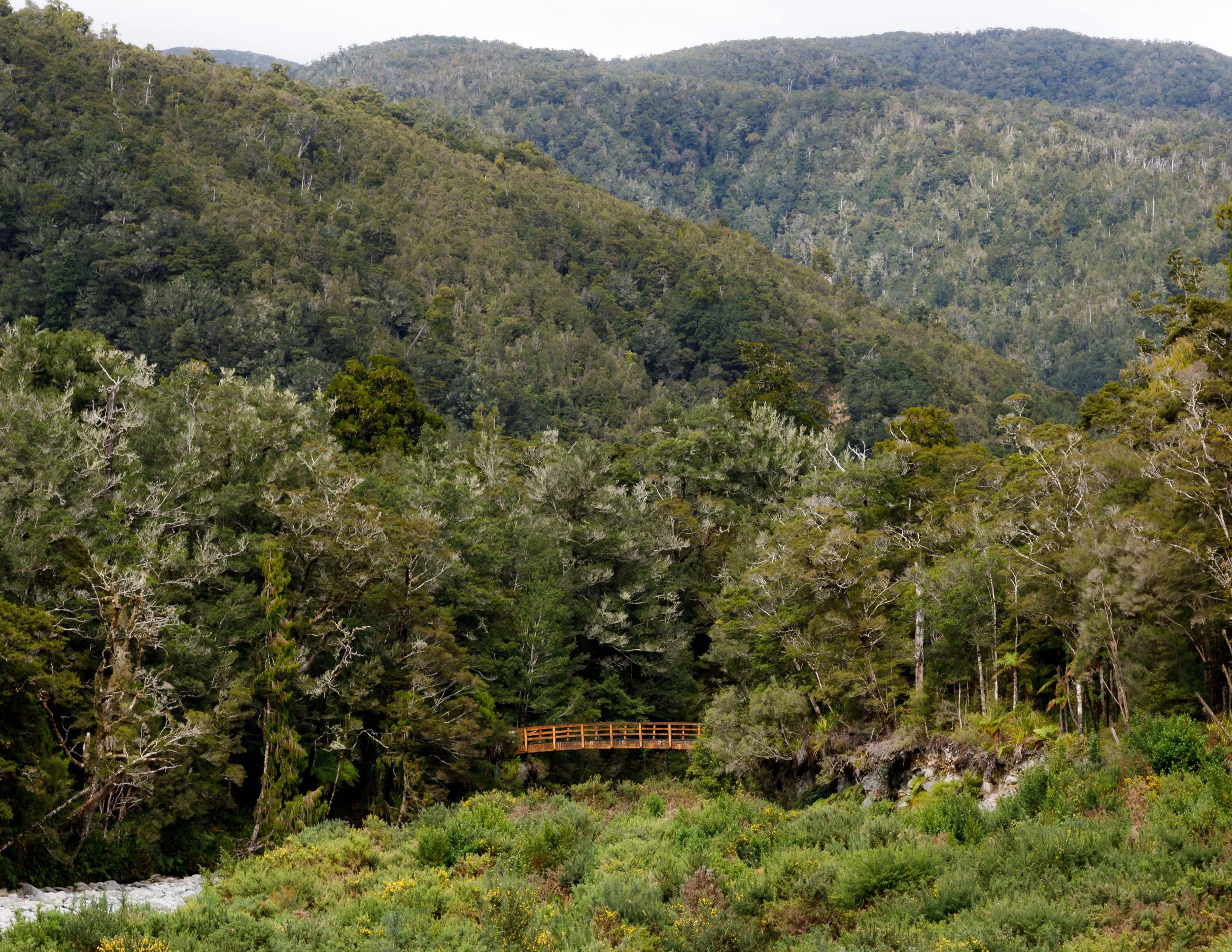 The Heaphy Track: the longest Great Walk of New Zealand — Walk My World