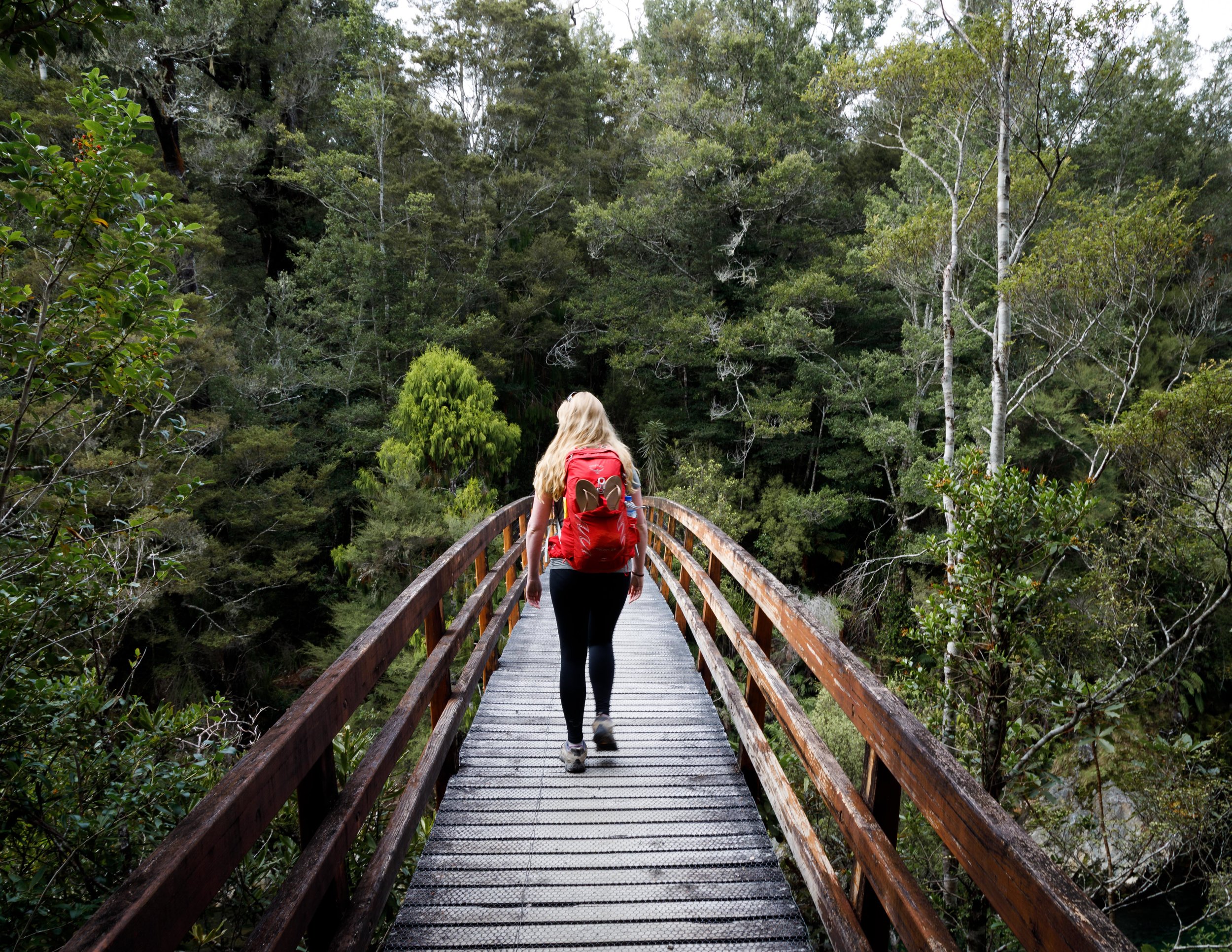 The Heaphy Track: the longest Great Walk of New Zealand — Walk My World