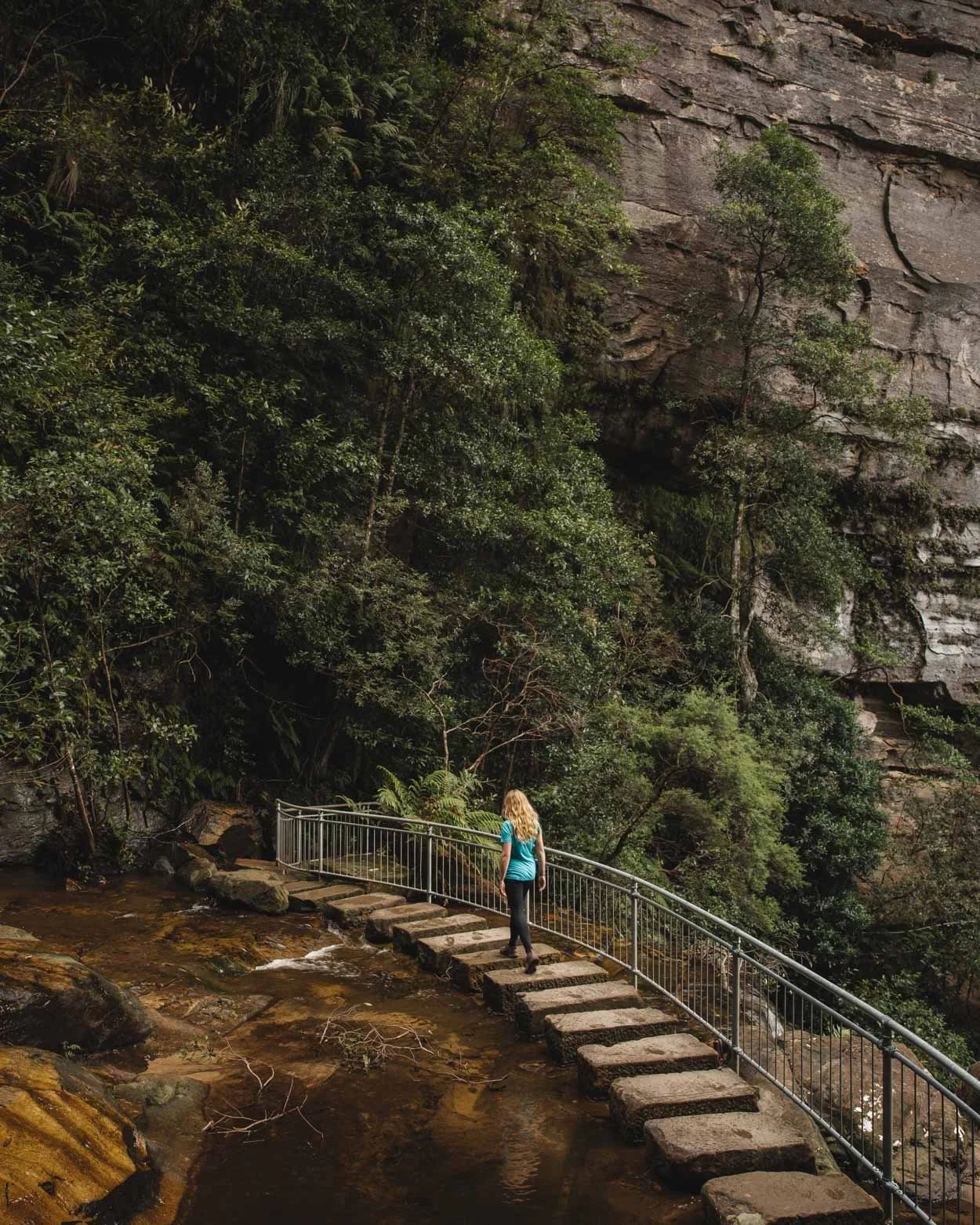 51 things to do in the Blue Mountains without a tour! — Walk My World
