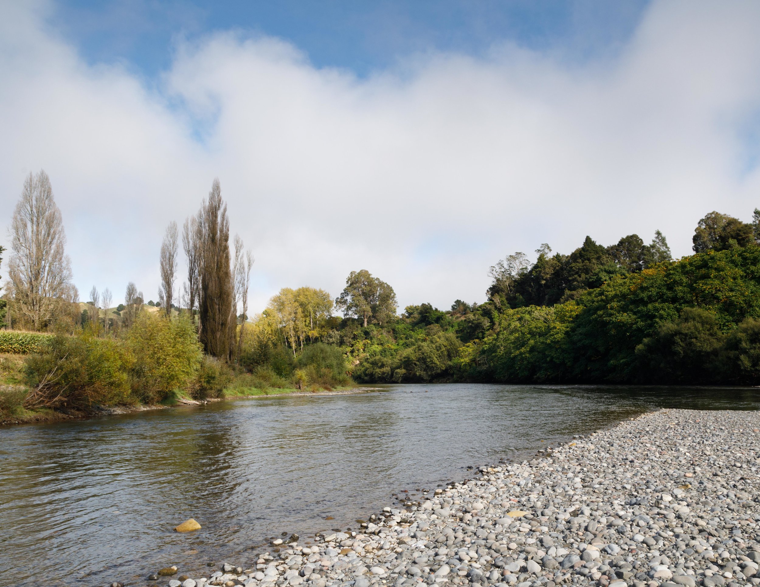The Whanganui Journey: 5 days canoeing the Whanganui River — Walk My World