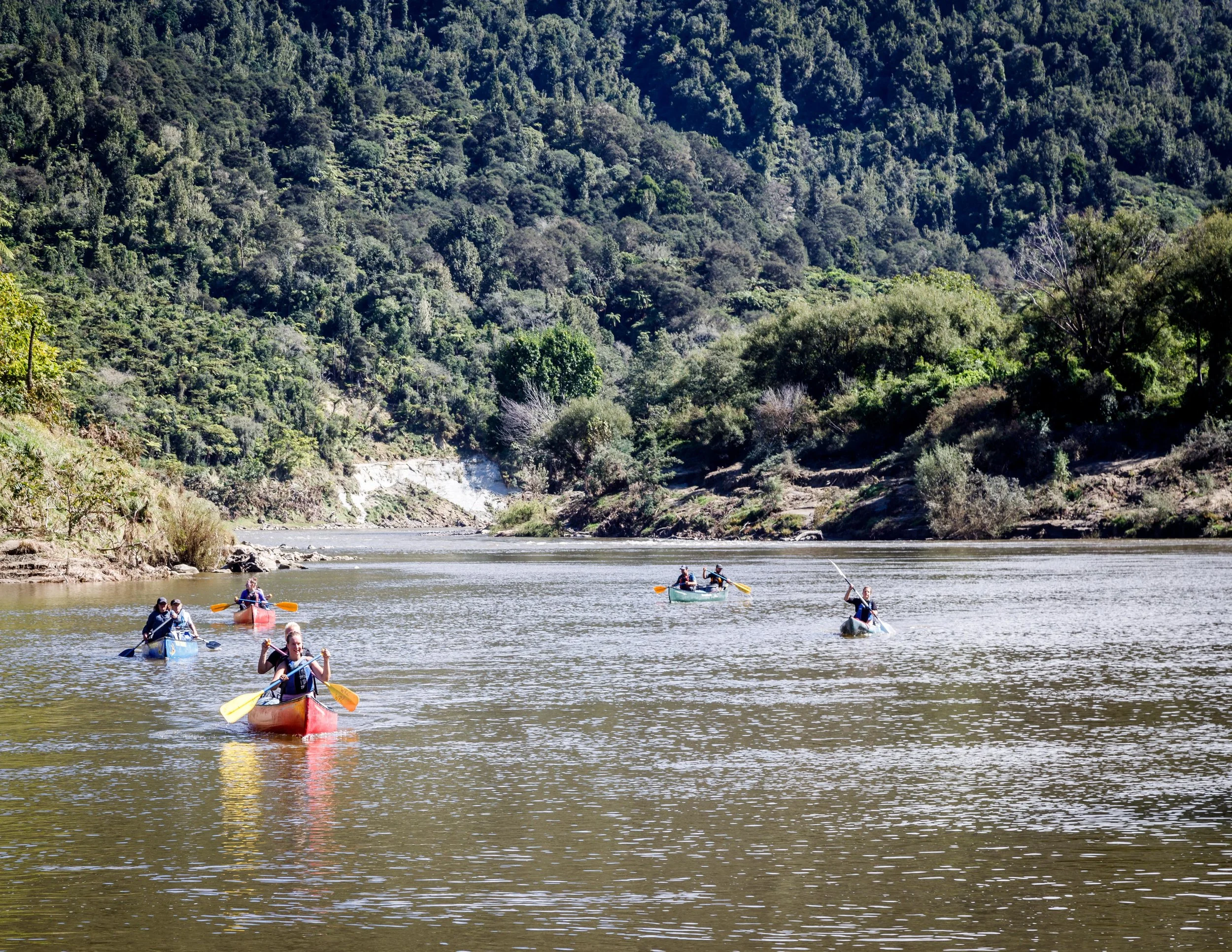 The Whanganui Journey: what to expect, difficulty, how to book ...