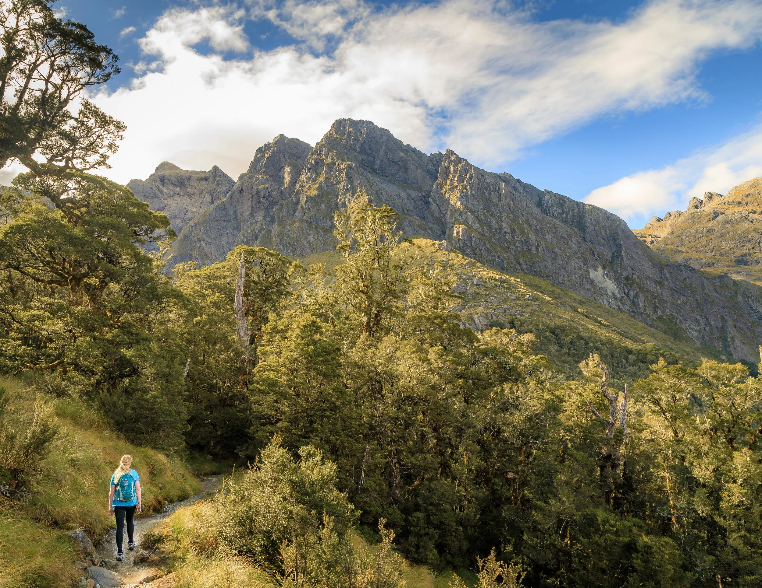 The Routeburn, Milford or Kepler Track: which is the best Great Walk in ...