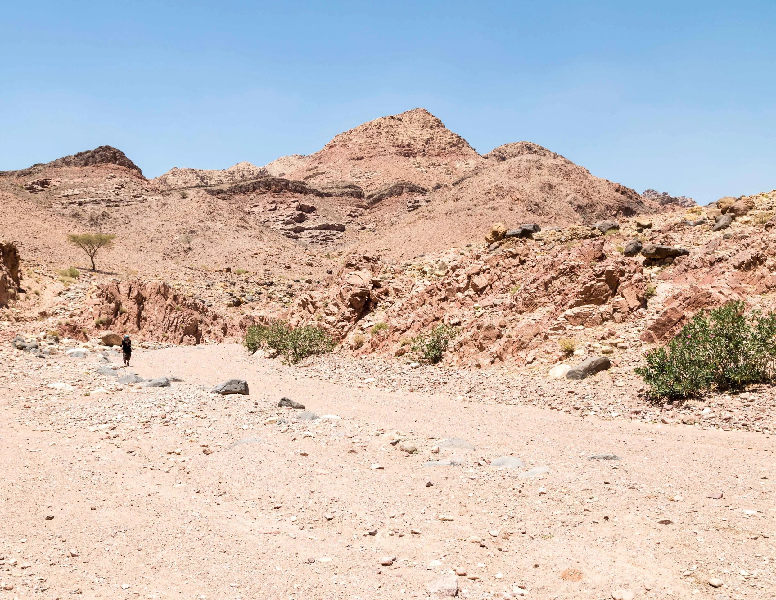 Dana Biosphere Reserve: one of Jordan's best kept secrets — Walk My World