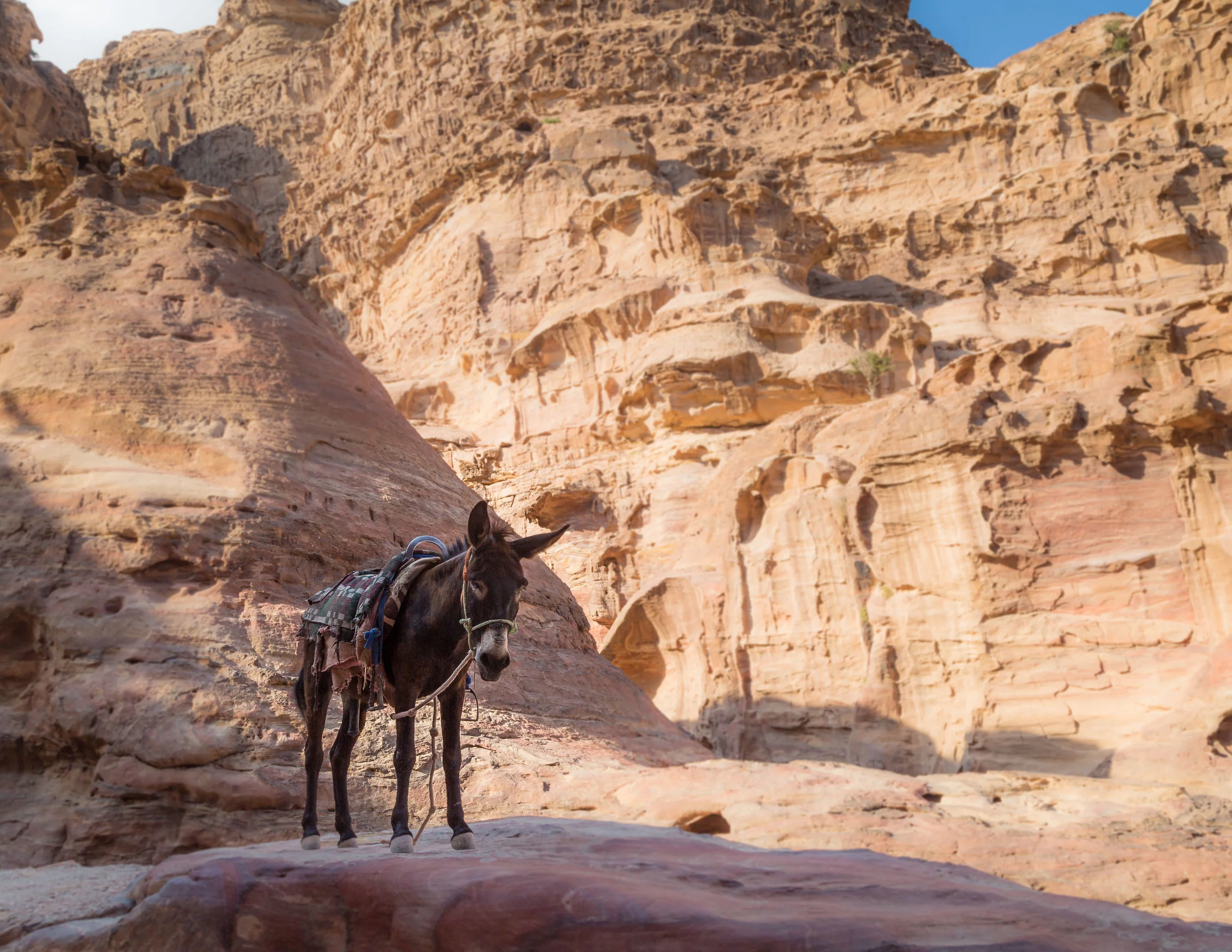 The Little Petra to Petra Walk: the back door to Petra — Walk My World