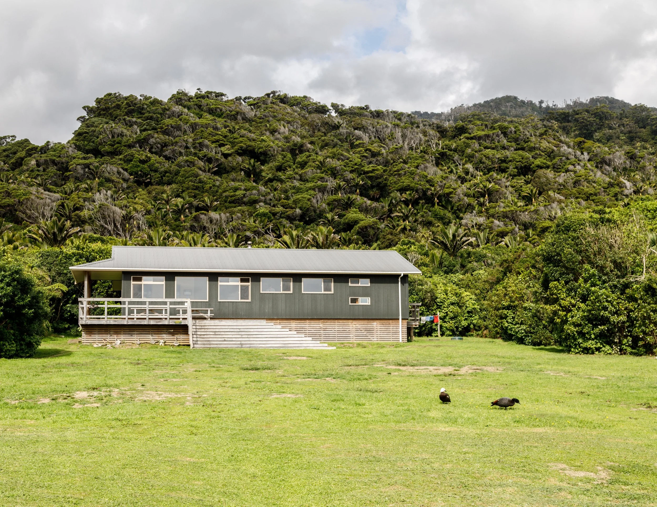 Which Great Walk of New Zealand is right for you? — Walk My World