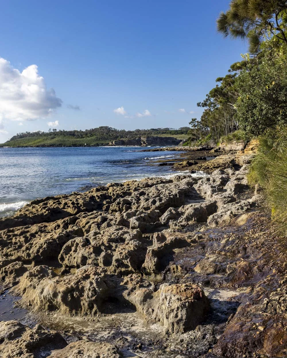 Tips for visiting Murrays Beach including how to find the hidden sea ...