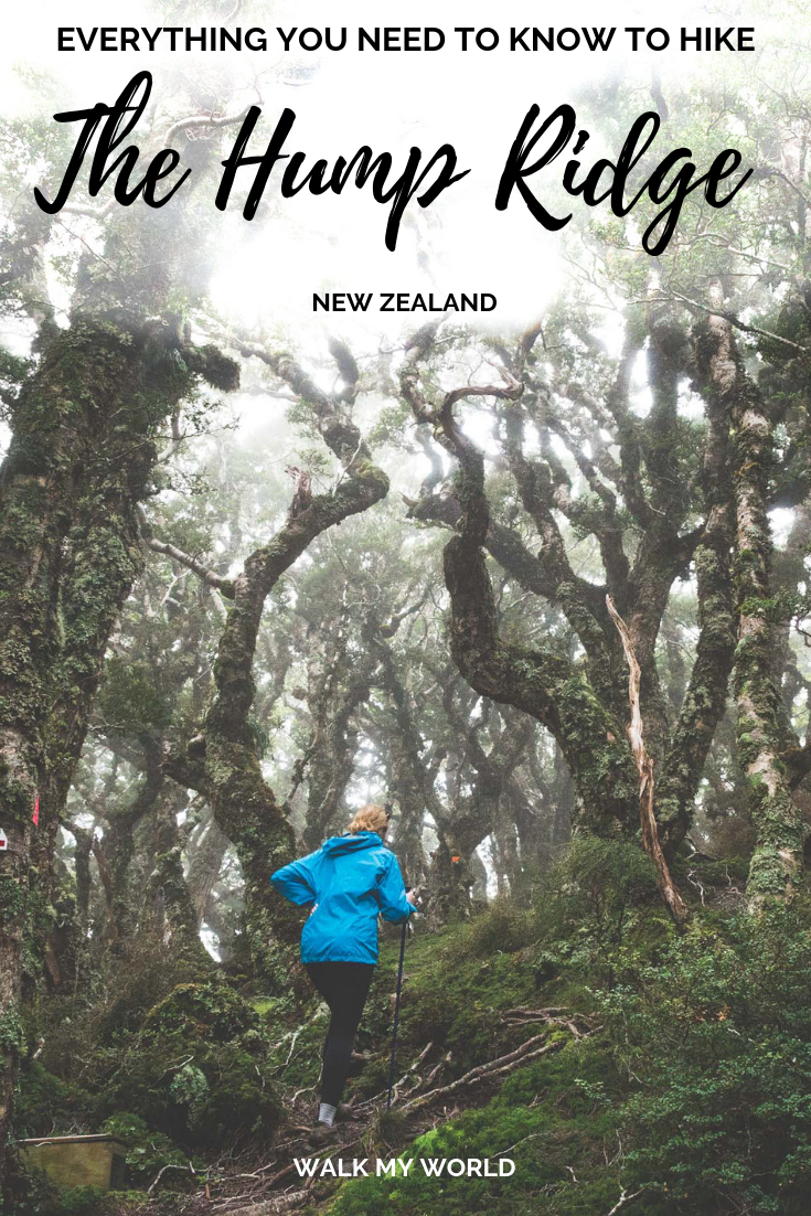 Everything you need to know to hike the Hump Ridge Track — Walk My World