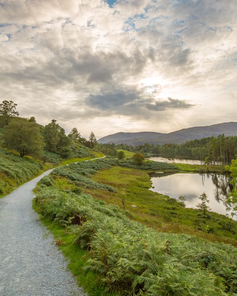 Tarn Hows and Black Fell: an easy walk in the Lake District — Walk My World