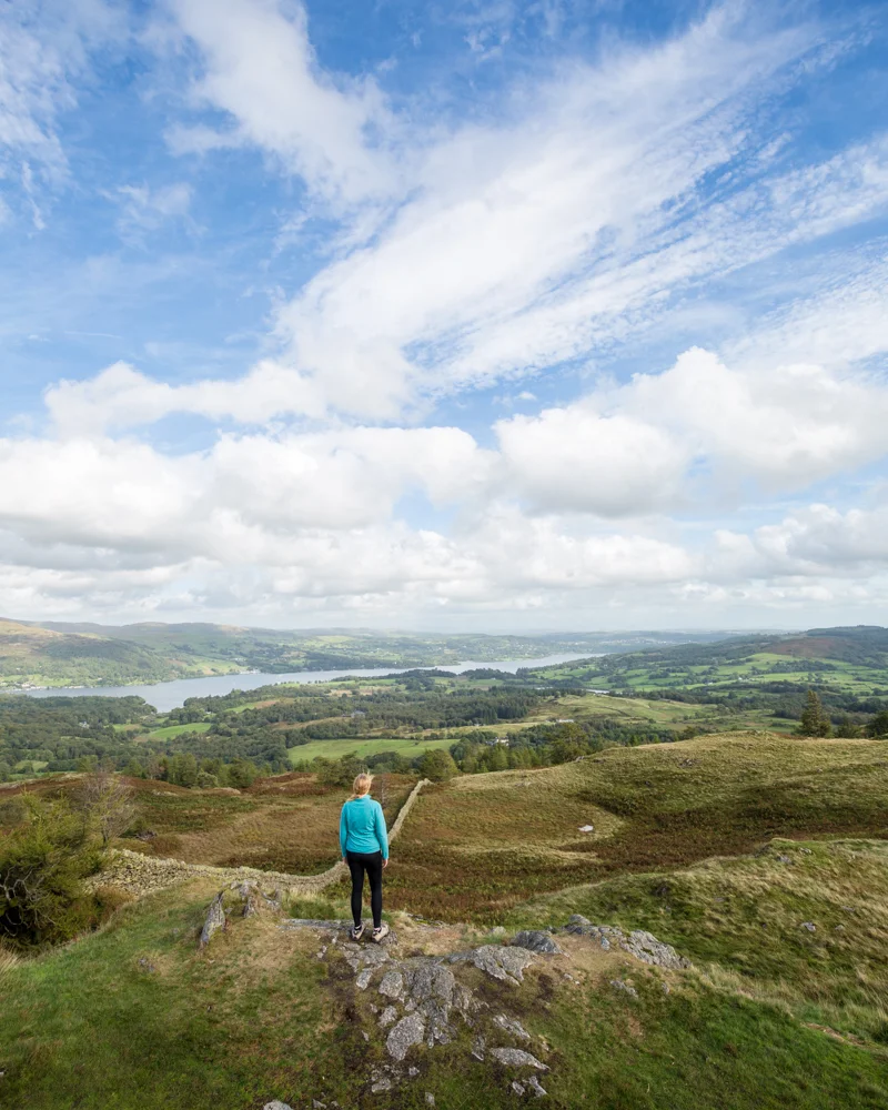 Tarn Hows and Black Fell: an easy walk in the Lake District — Walk My World