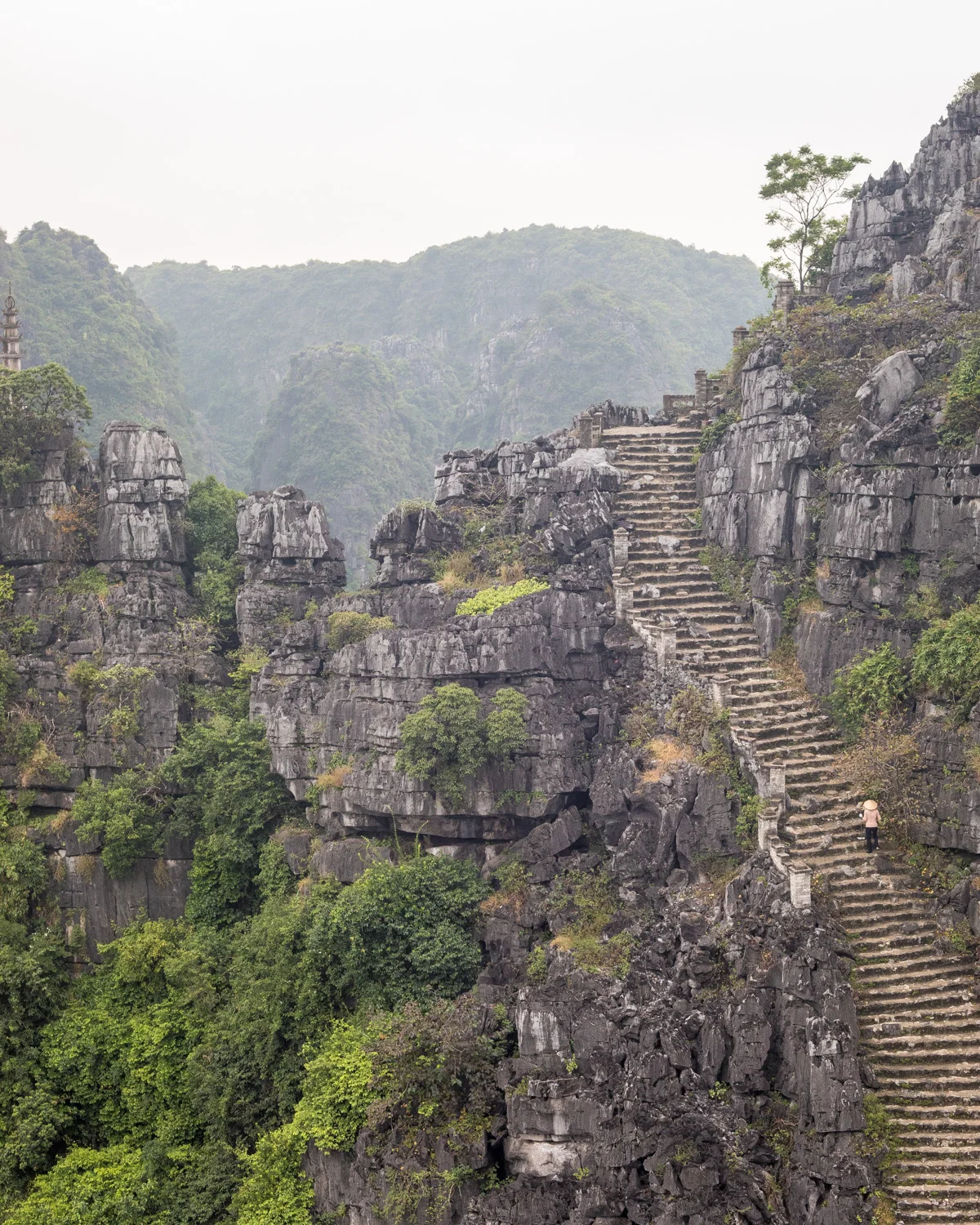 Mua Caves (Hang Mua) - The best views in Ninh Binh — Walk My World Mua Caves (Hang Mua) - The best views in Ninh Binh — Walk My World