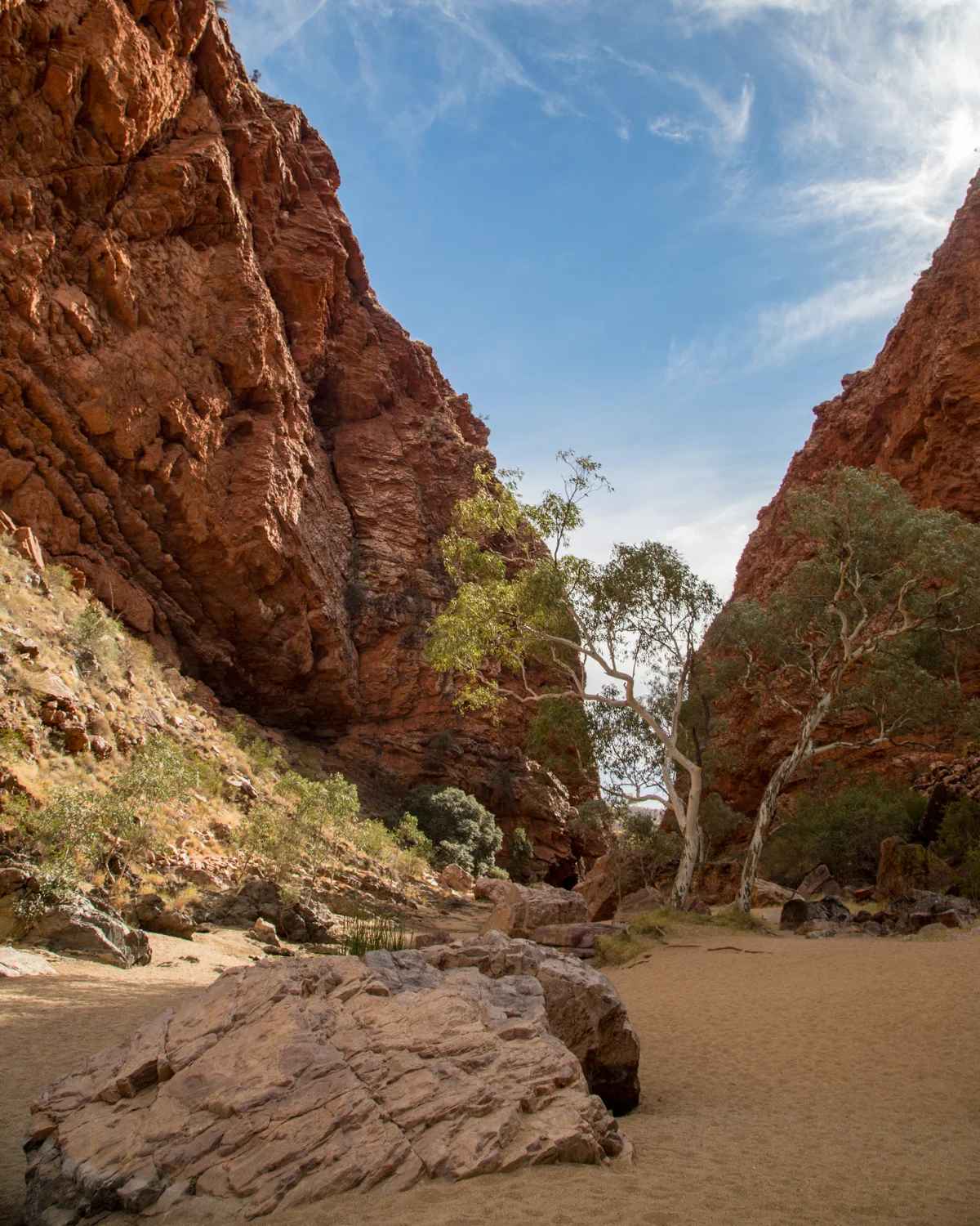 Alice Springs accommodation: where to stay for your Outback adventure ...